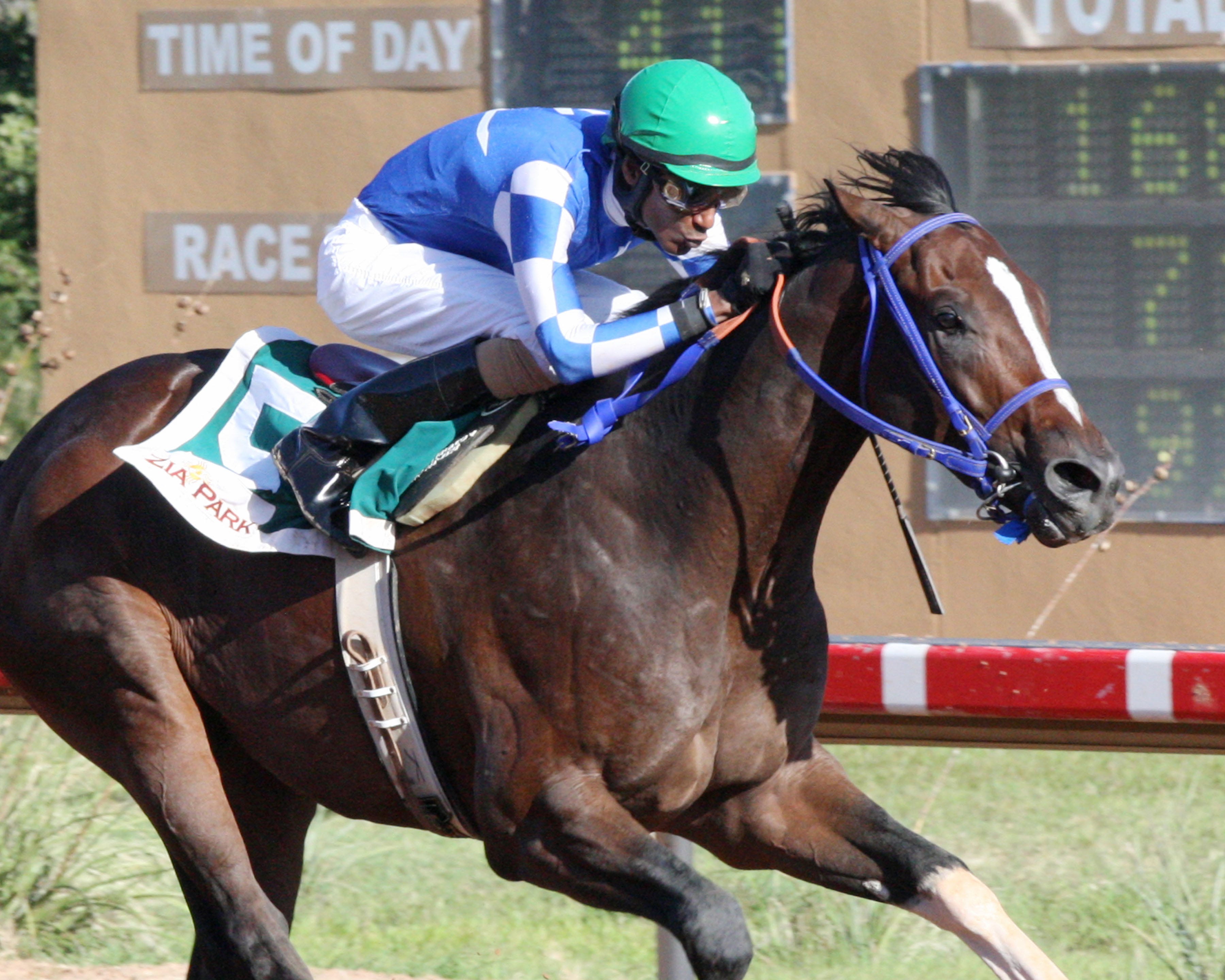 Texas Chrome gets more ground in Clever Trevor