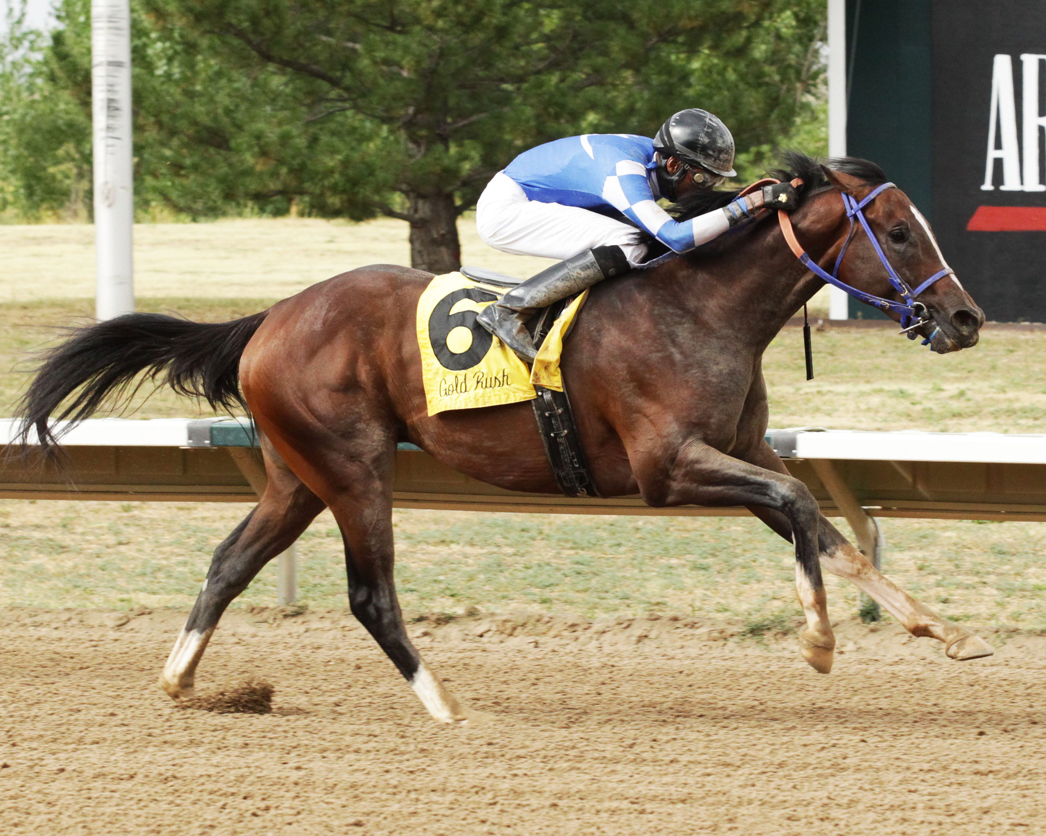 Texas Chrome looks formidable in Governor’s Cup