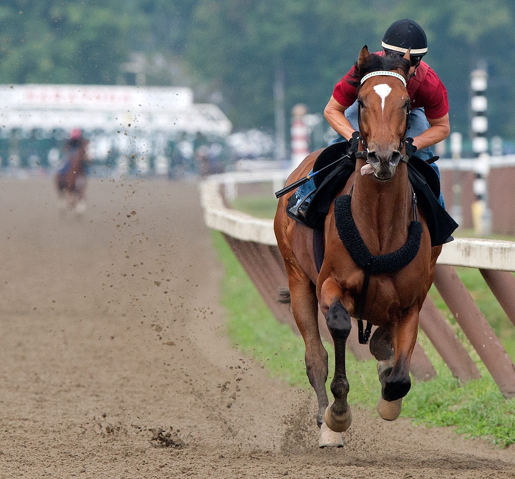 Texas Red among Travers workers Saturday