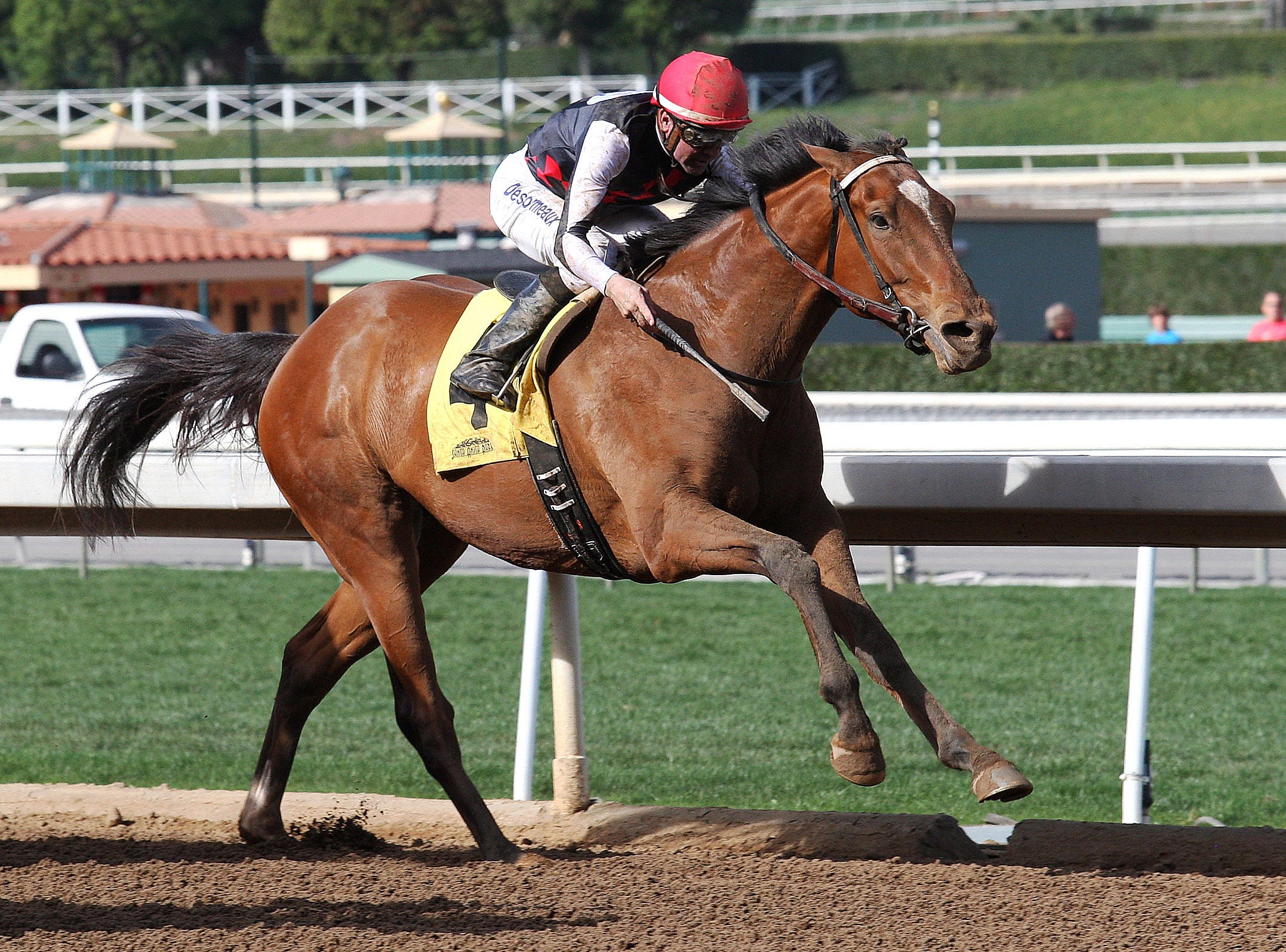 Texas Red begins belated Kentucky Derby drive