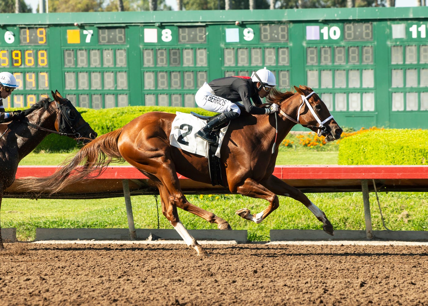 The Chosen Vron likely to stick with statebred races