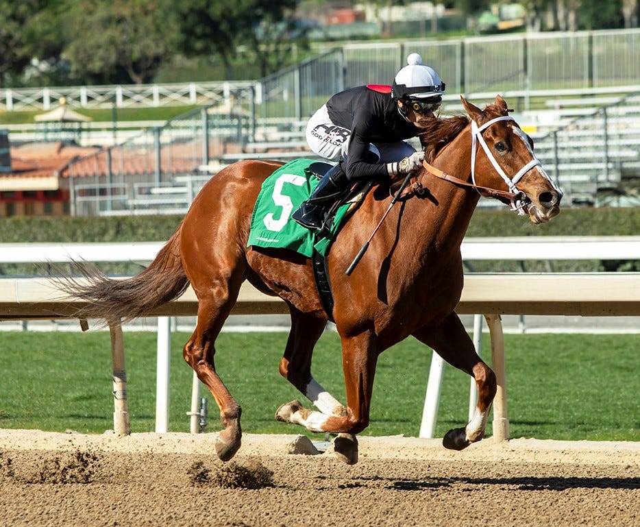 The Chosen Vron goes for sixth straight in Sensational Star