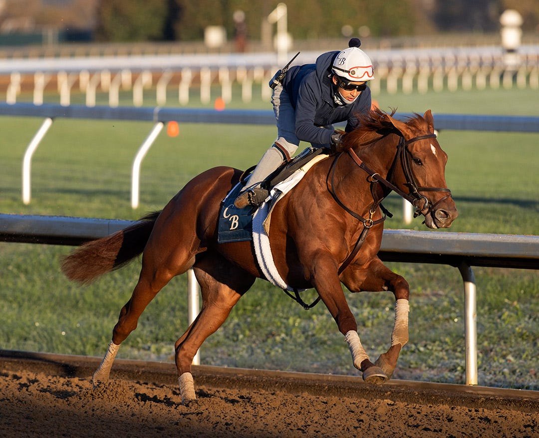 Busanda distance lures Florida shipper Diamond Ore