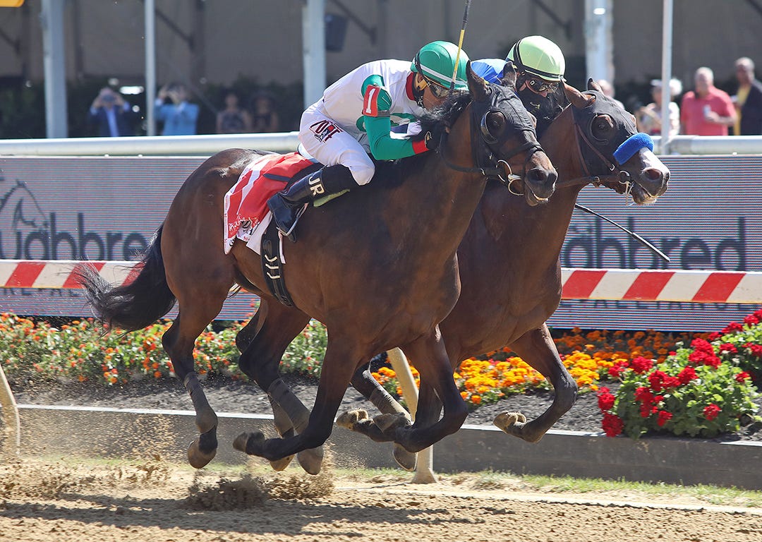 The King Cheek battles back to win Sir Barton Stakes