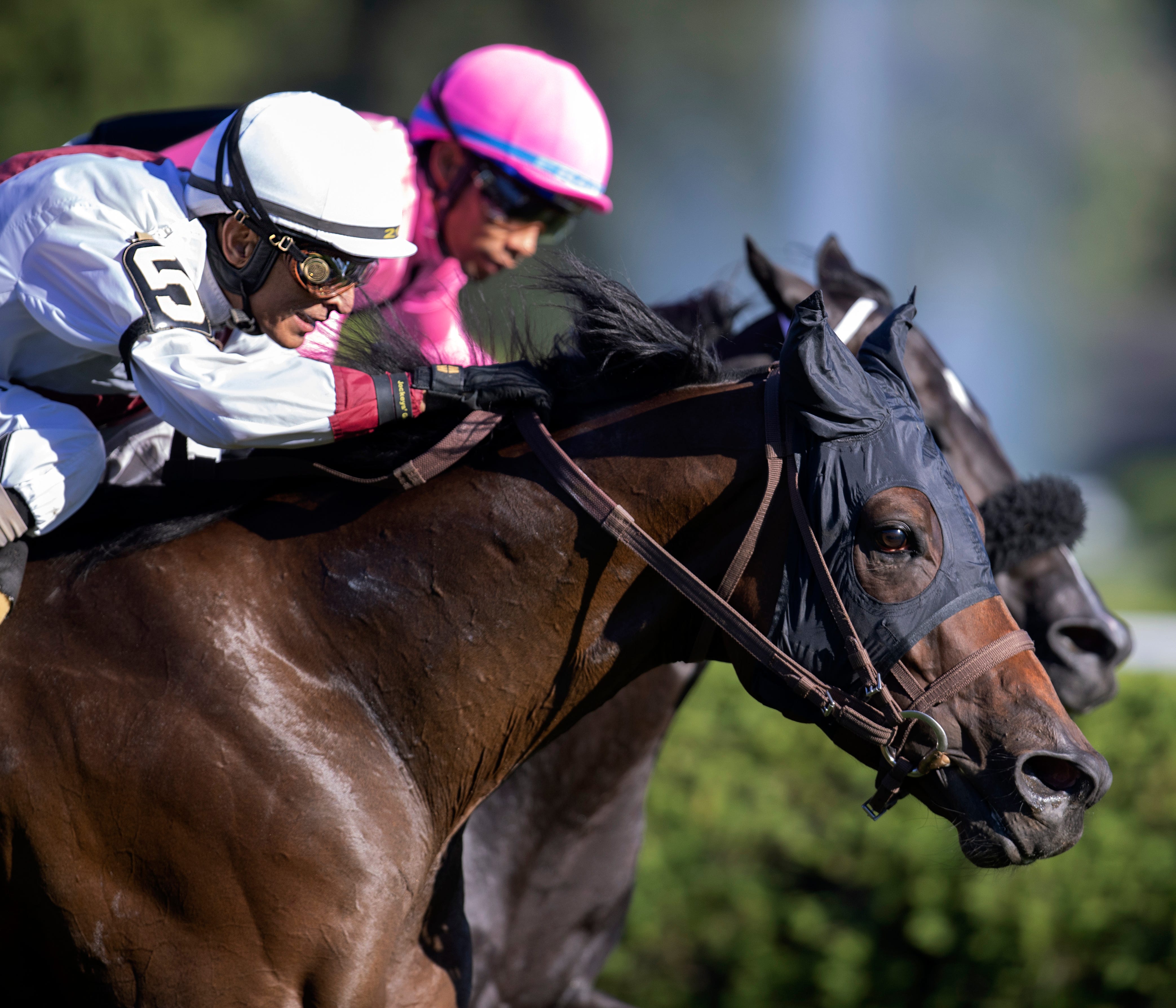 Thin White Duke takes Lucky Coin Stakes with perfectly timed ride