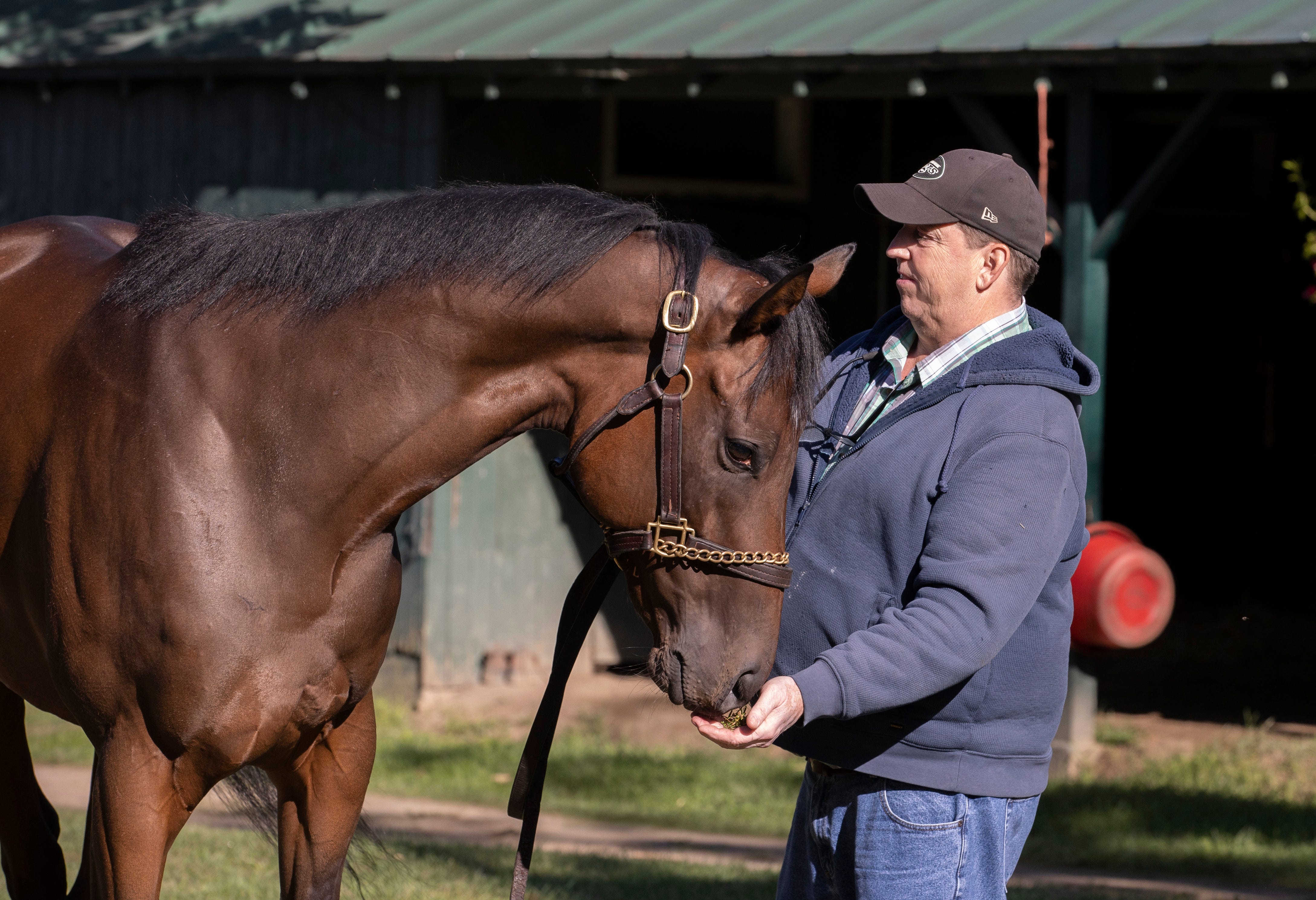 Donk getting turf sprinters ready for spring
