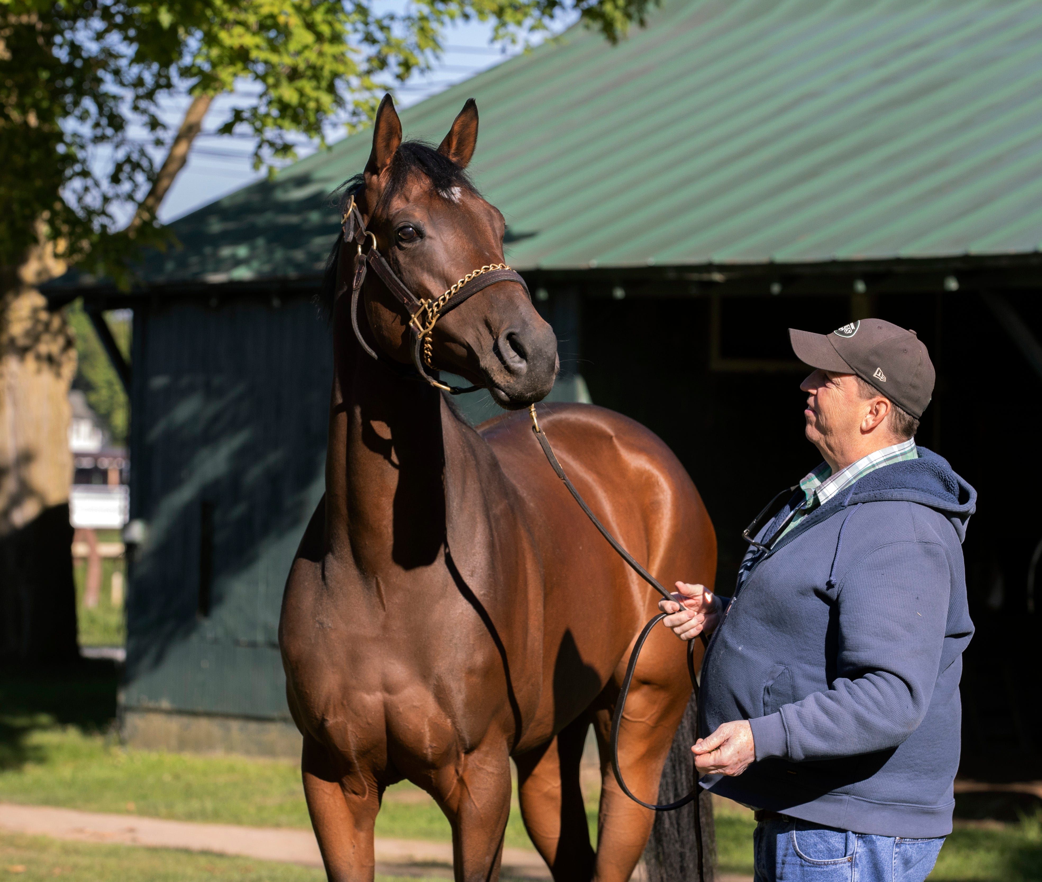 Big fields assure $159,000 pick six carryover won't be easily hit