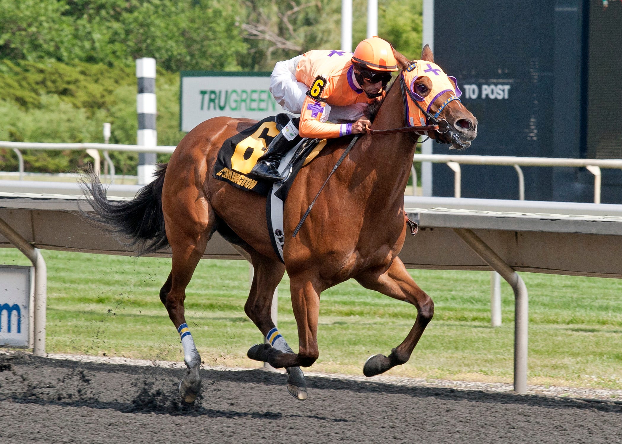 Arlington: Beating Third Chance in Addison Cammack a tall order for ...