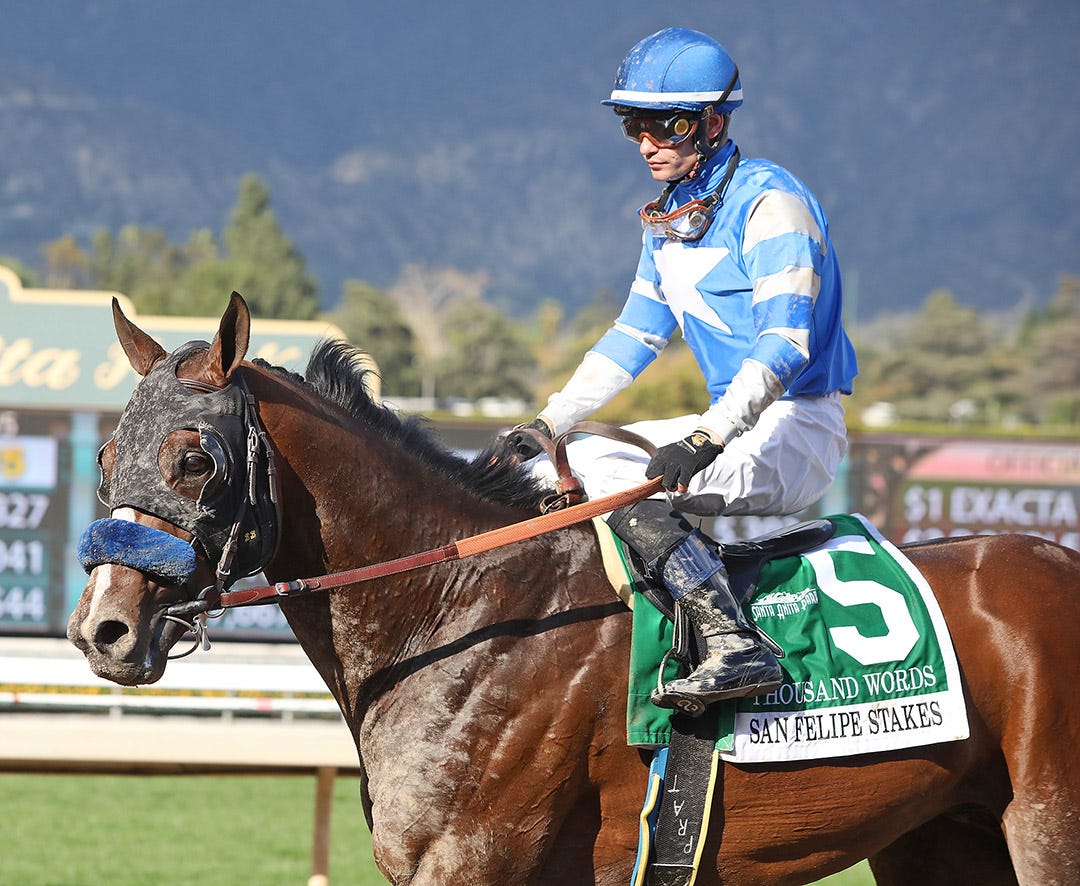 Kentucky Derby pedigree profile: Thousand Words