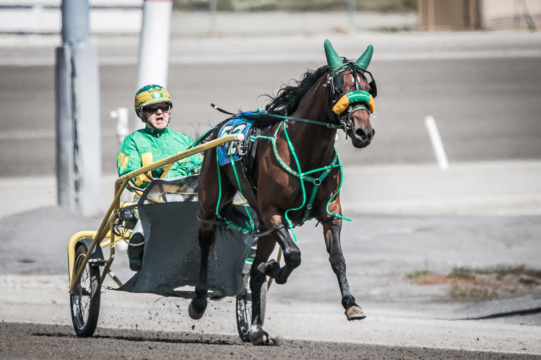 Harness: Profile of trainer/driver Tim Twaddle