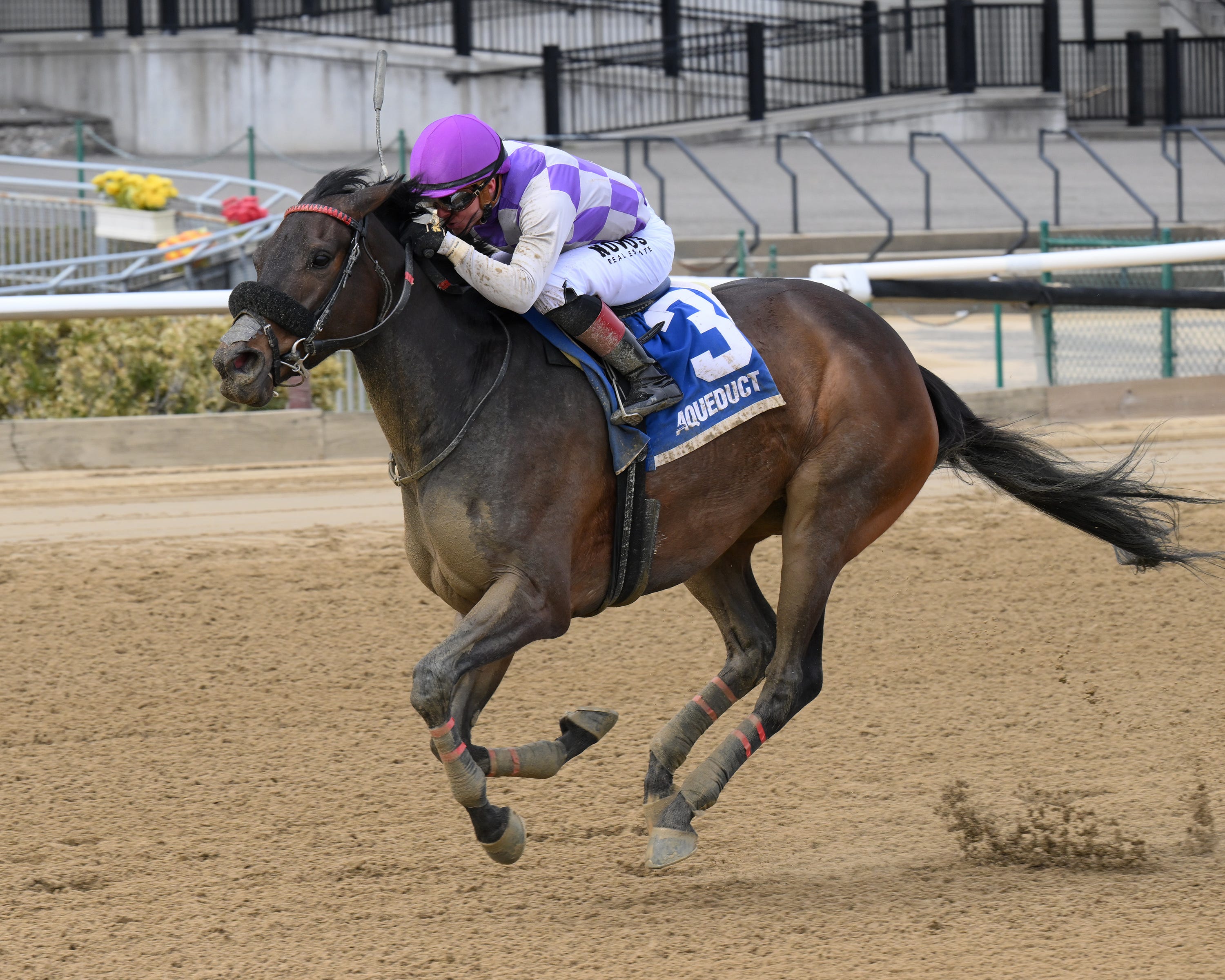 Timeless Journey comes from last to win Biogio's Rose