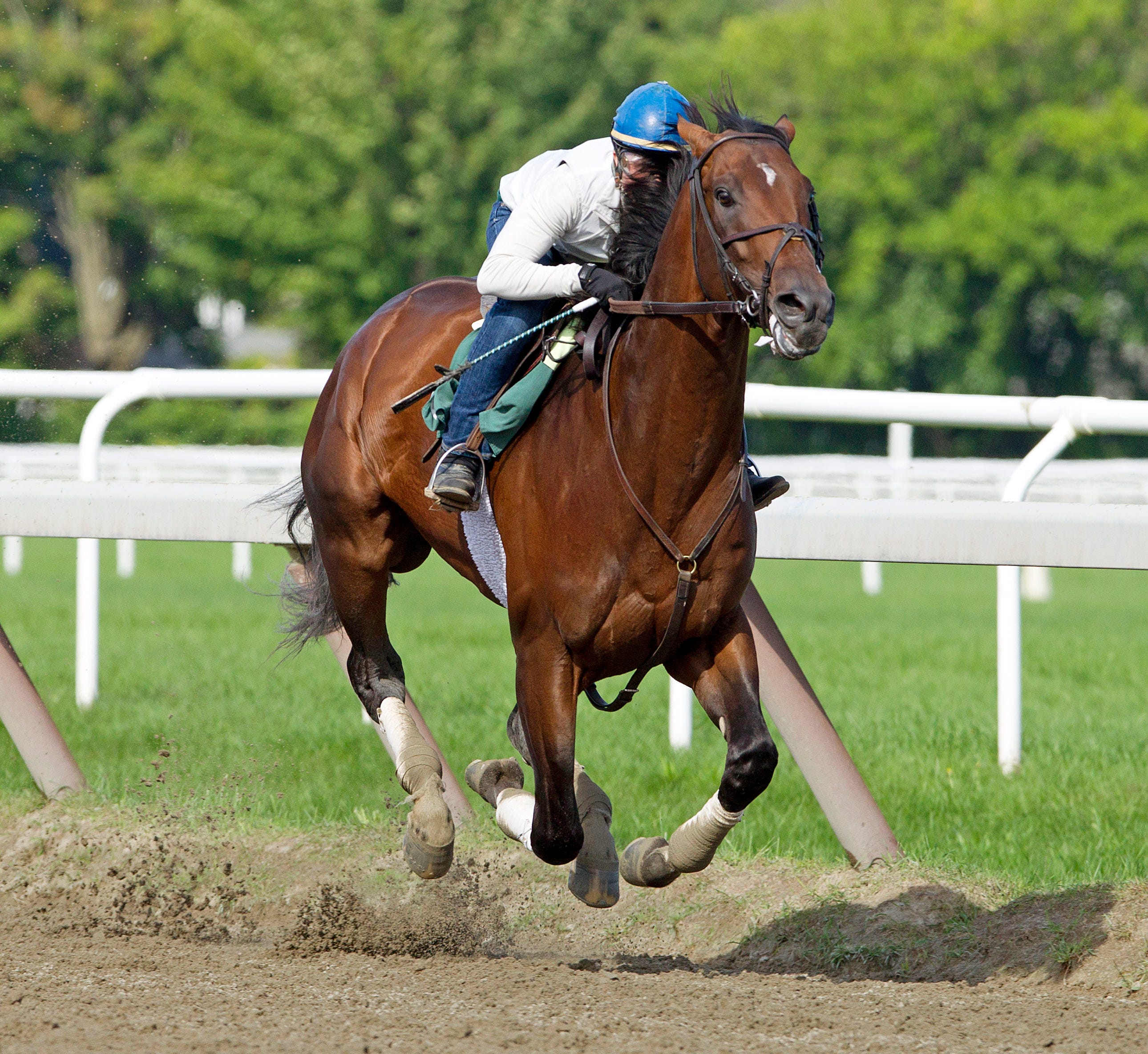 Parx: To Honor and Serve, Ruler On Ice top nine-horse Pa. Derby