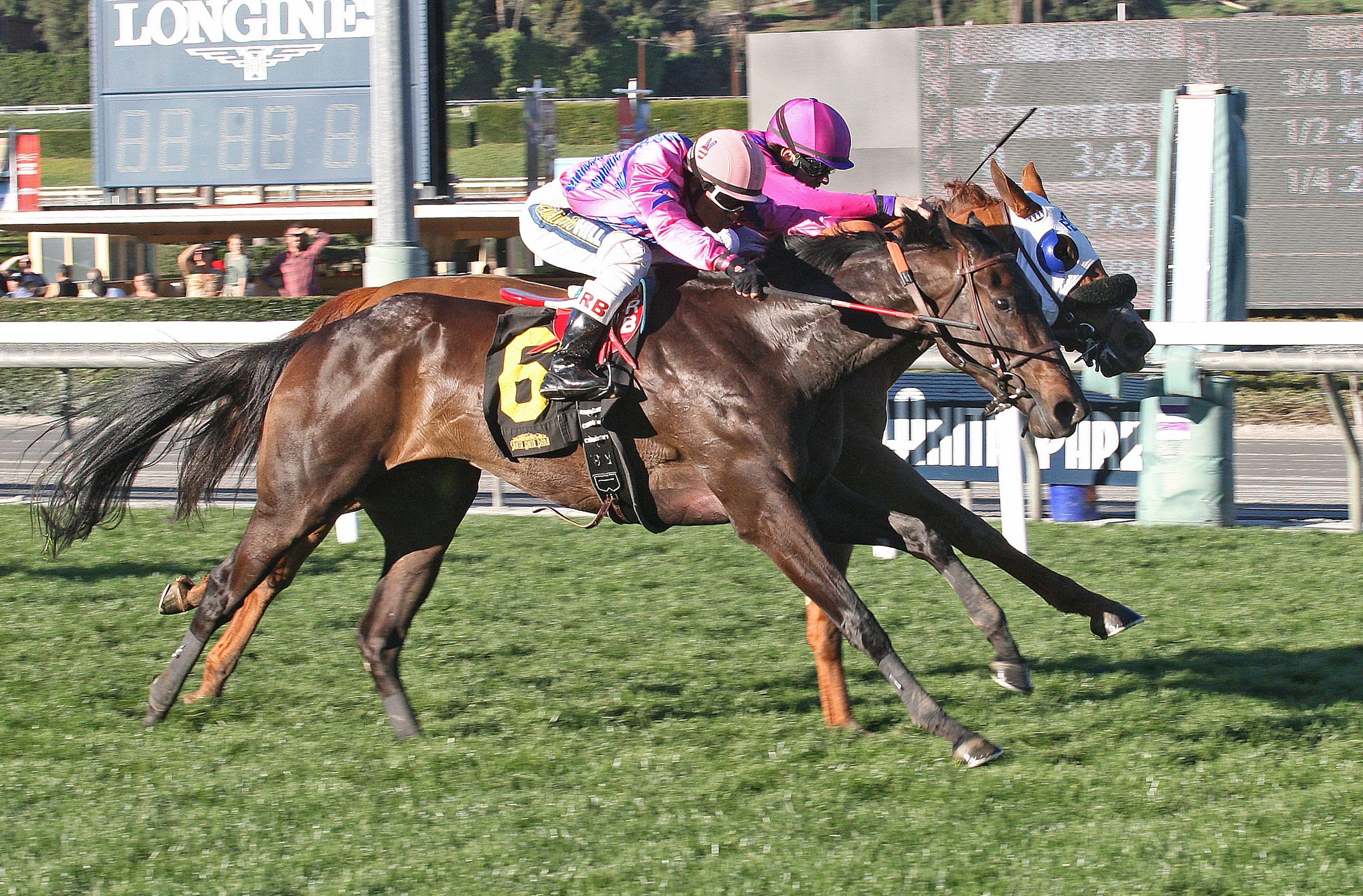 Toinette looks tough on turf