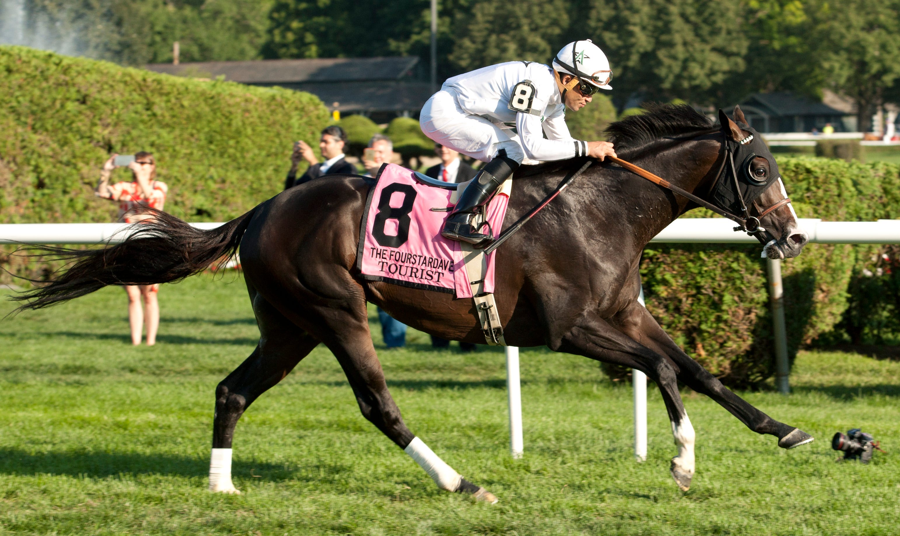 Sparkman: Now or never for Godolphin Arabian line