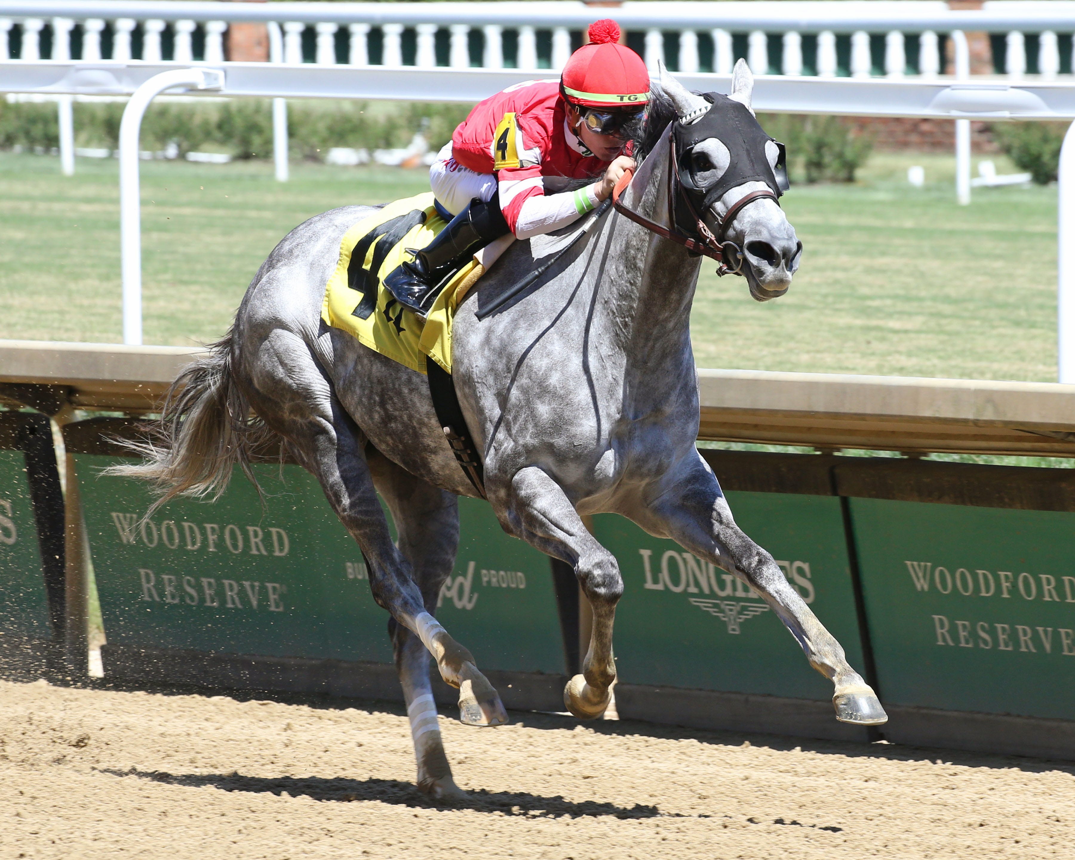 Travel Column earns 89 Beyer in stylish comeback win