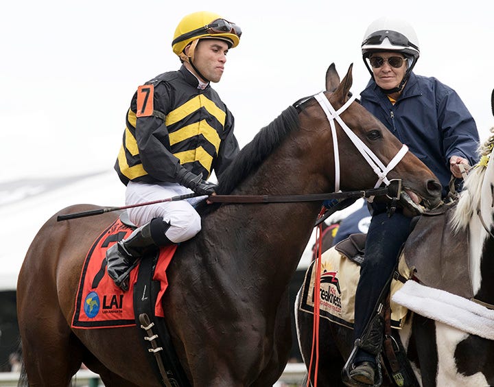 Form questions for all in Bold Ruler Handicap