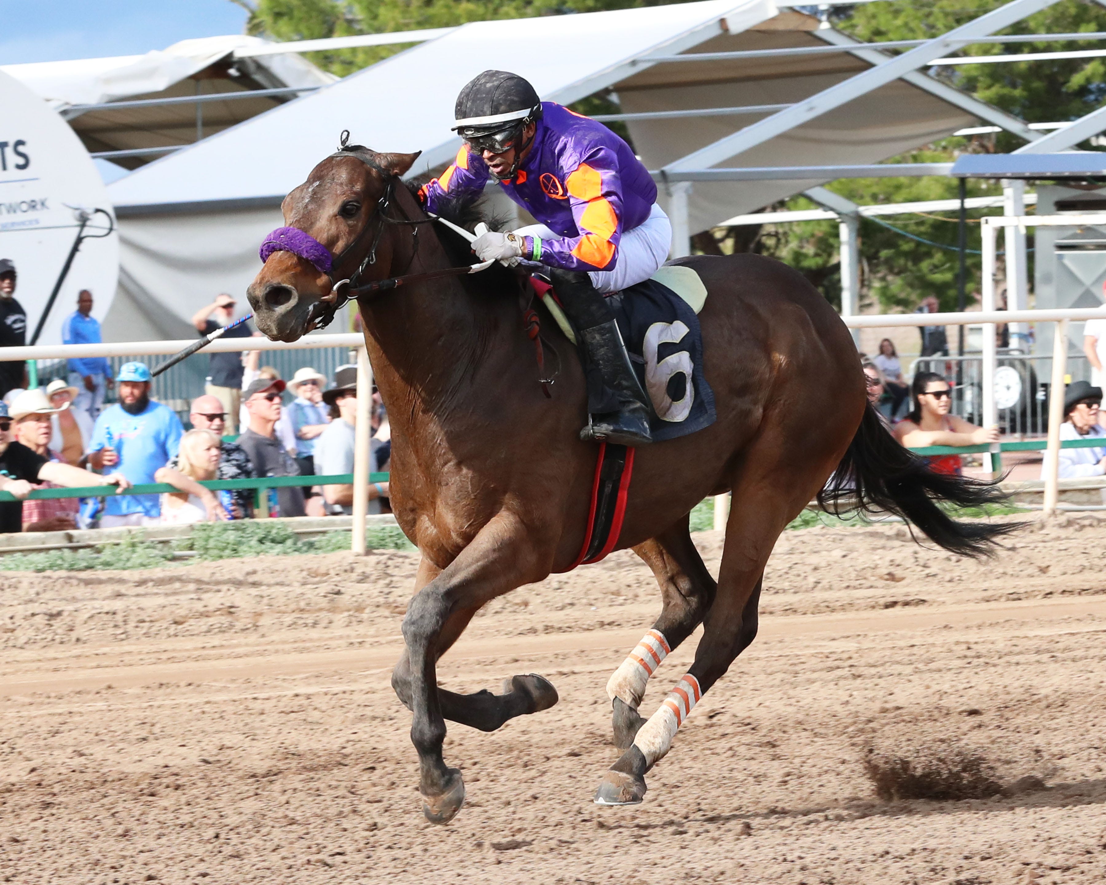 Truth Seeker heads 1-2-3 for home team in Phoenix Gold Cup
