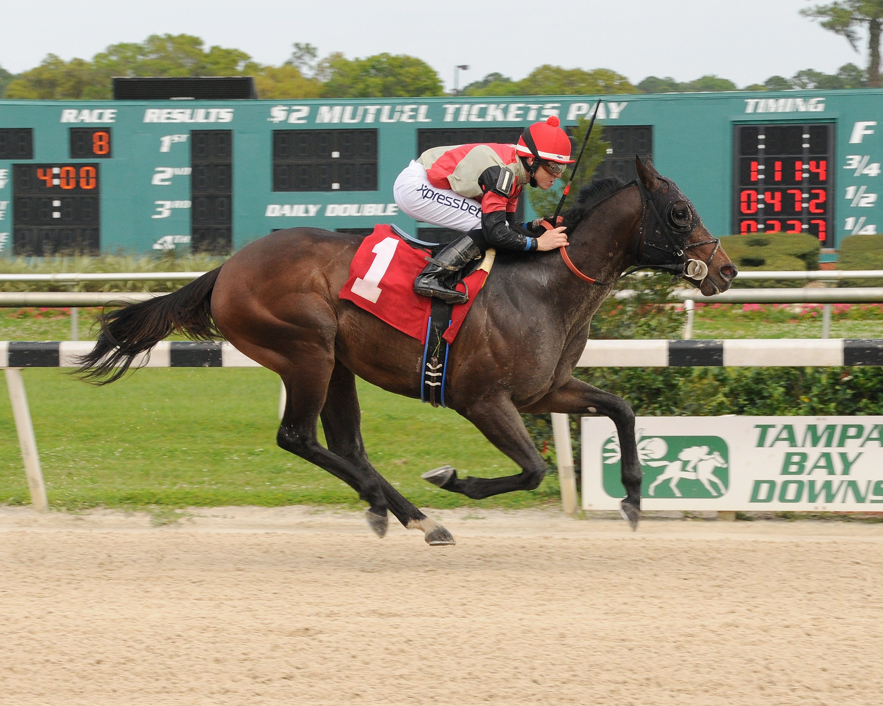 Tampa Bay Downs: Tulira Castle turns it on in stretch of Challenger