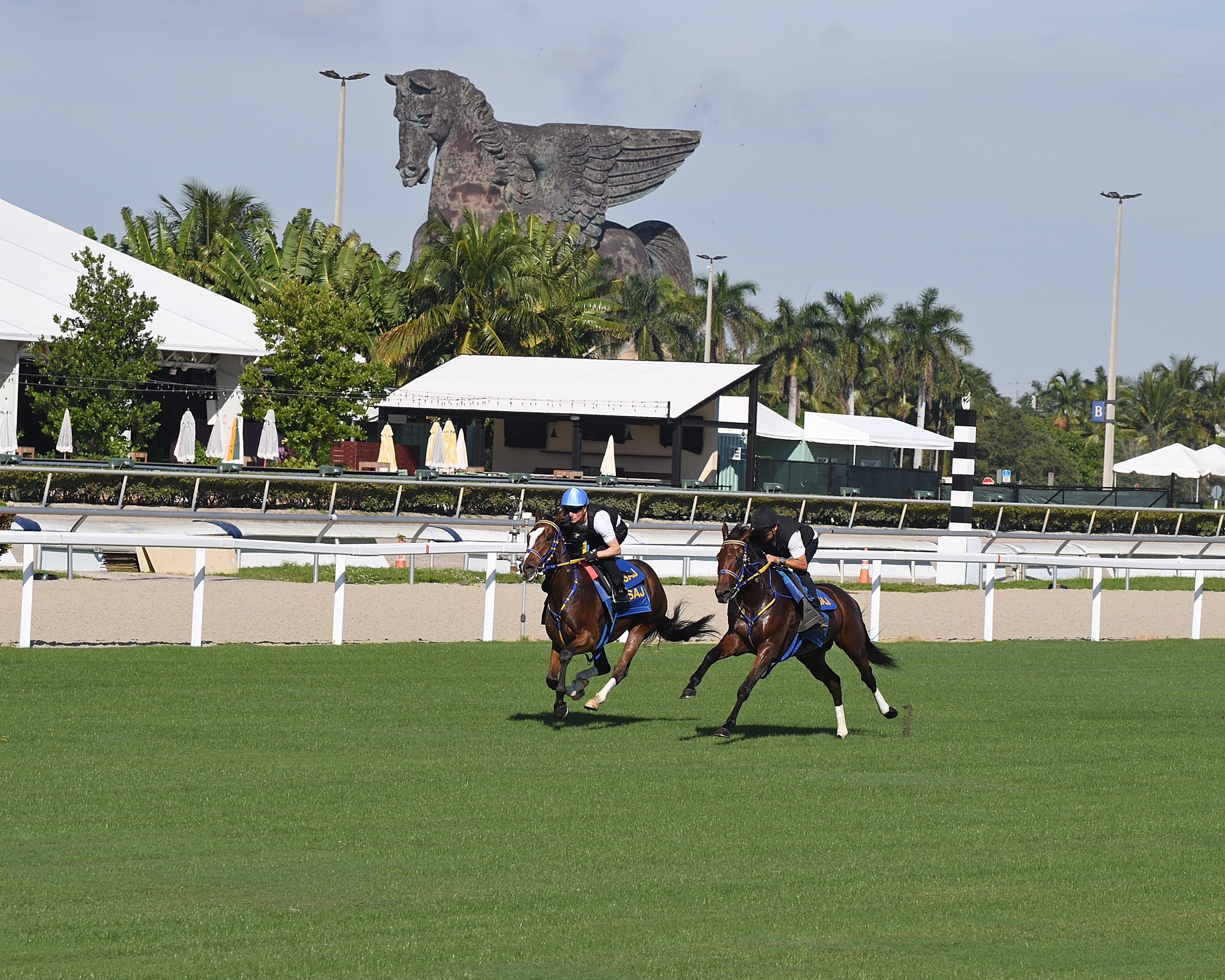 Renovated turf course opens for first time since June