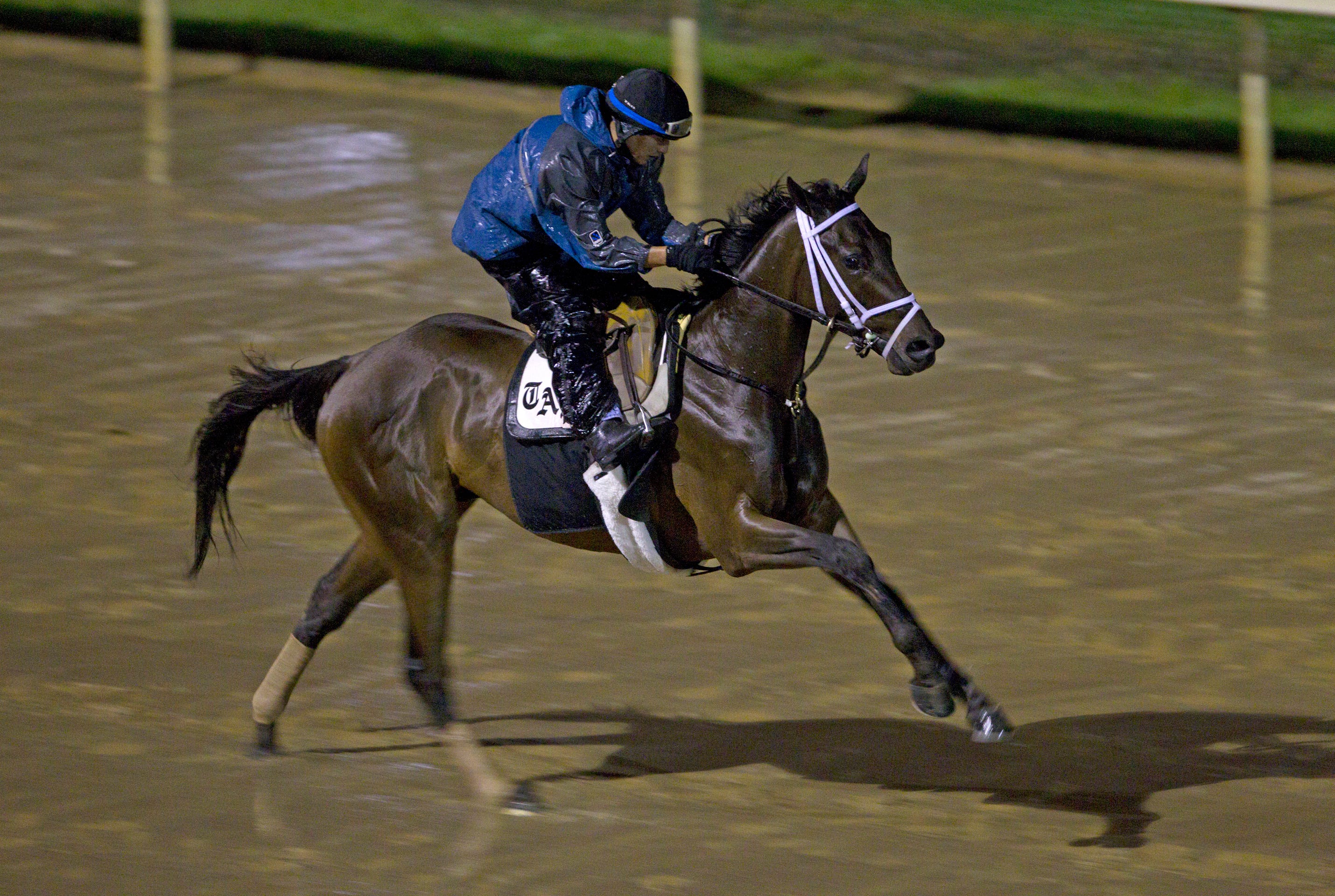 Kentucky Derby: Rain puts damper on training