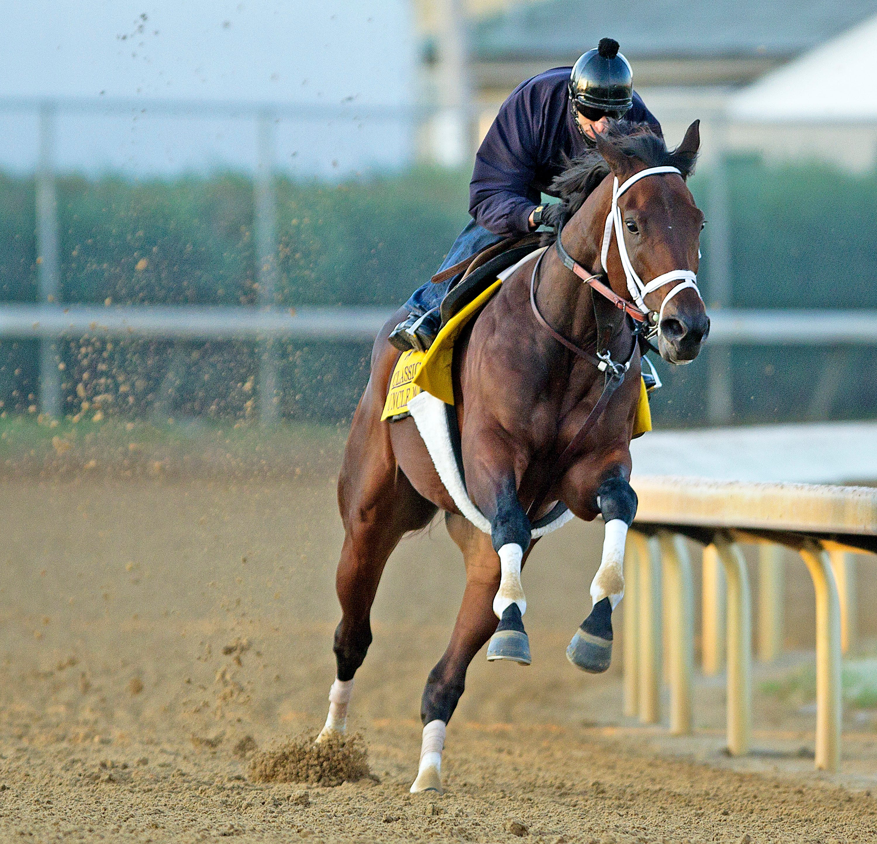 Breeders' Cup Classic: Uncle Mo seeks fairy-tale end to remarkable comeback