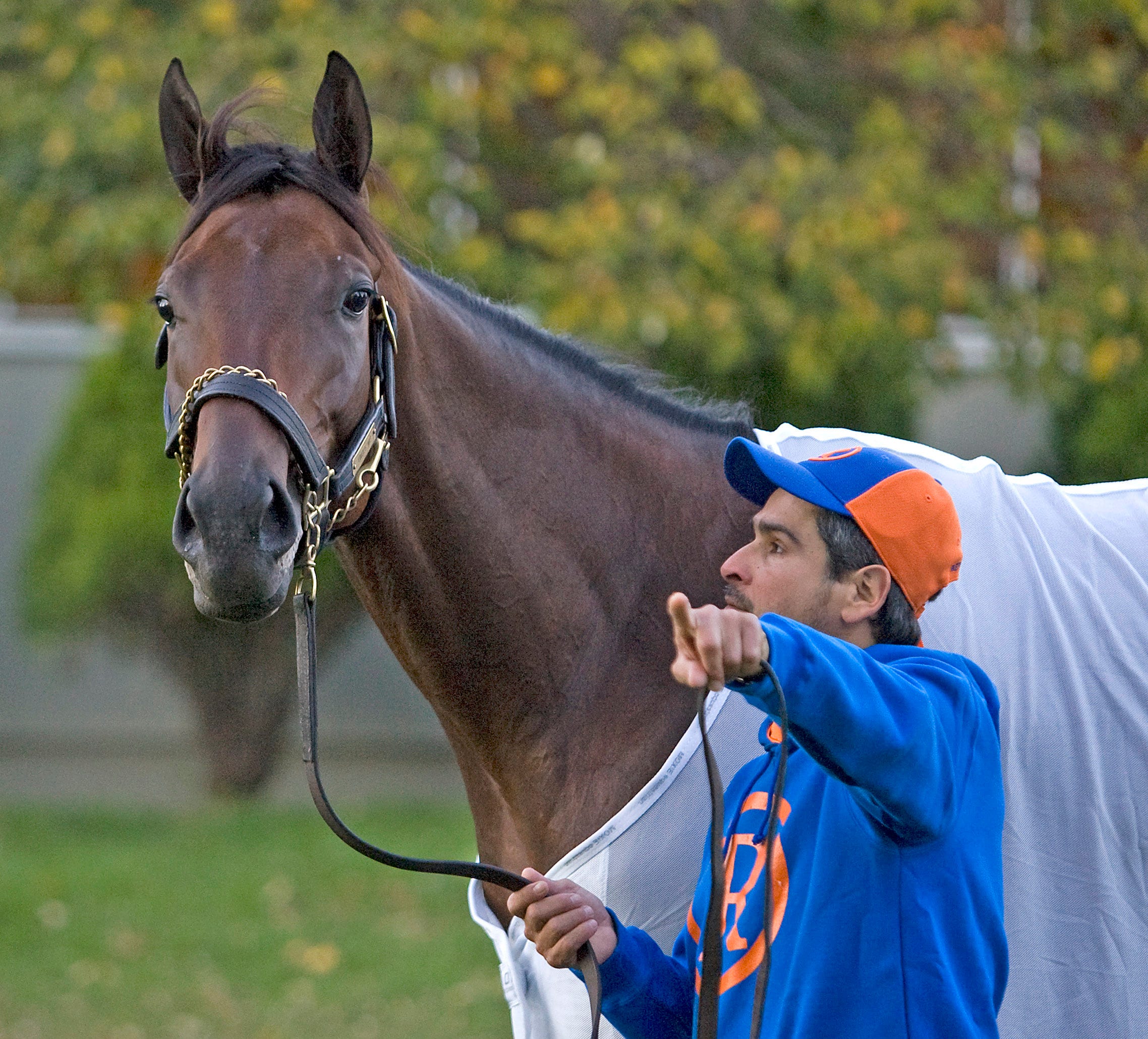 Uncle Mo to make season debut in Timely Writer at Gulfstream