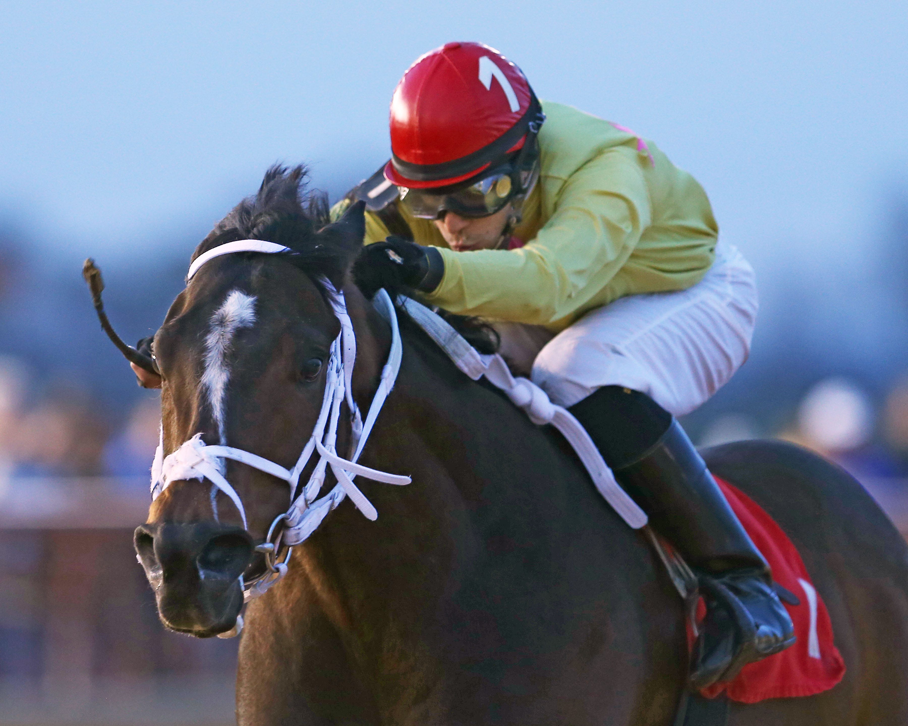 Jerardi: Uncle Todd’s connections know his sweet spot