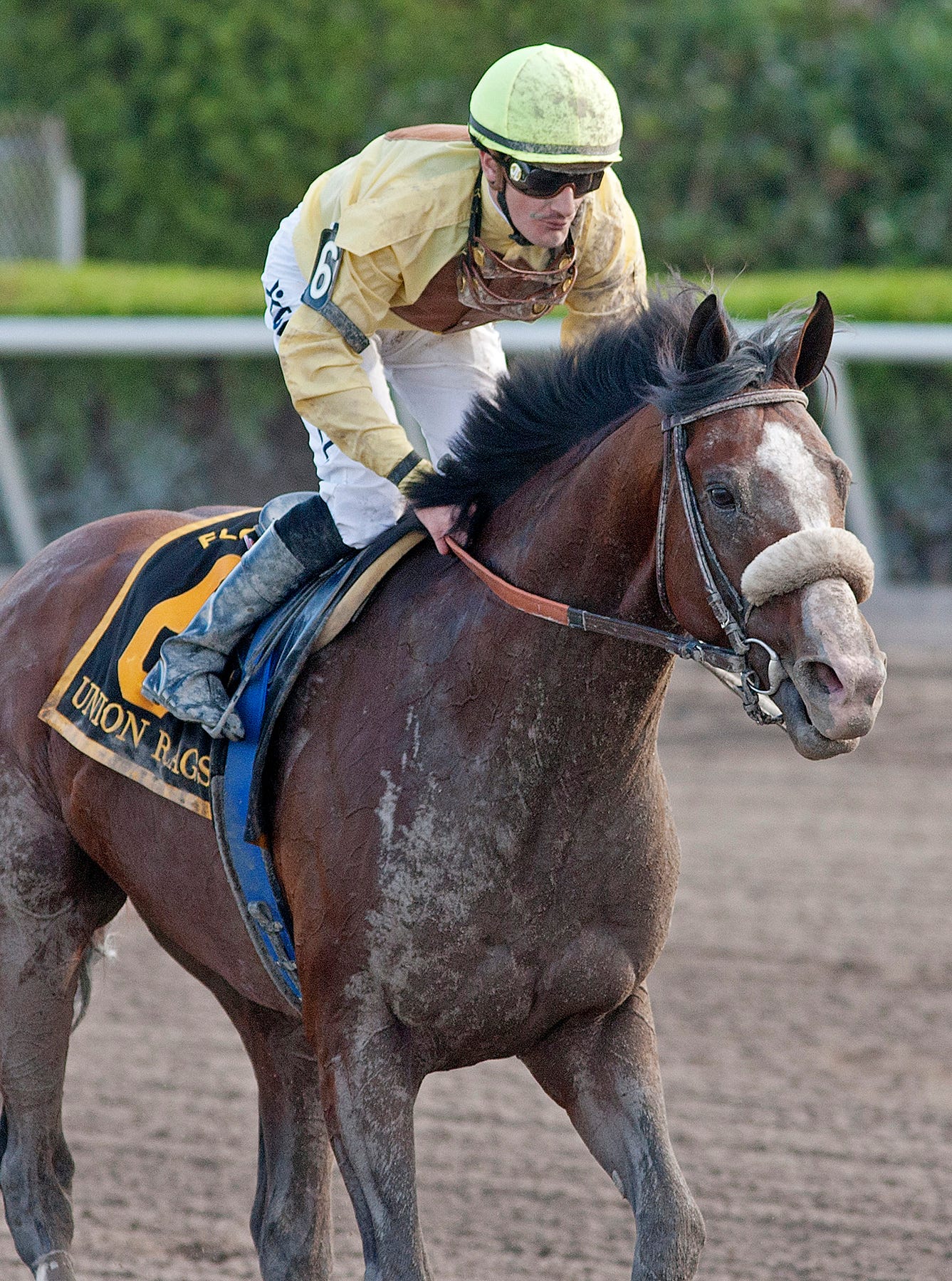 Kentucky Derby: Matz keeps Union Rags fresh for big day