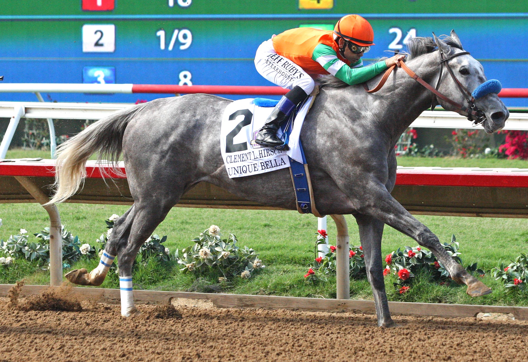 Unique Bella punches ticket to Breeders' Cup Distaff