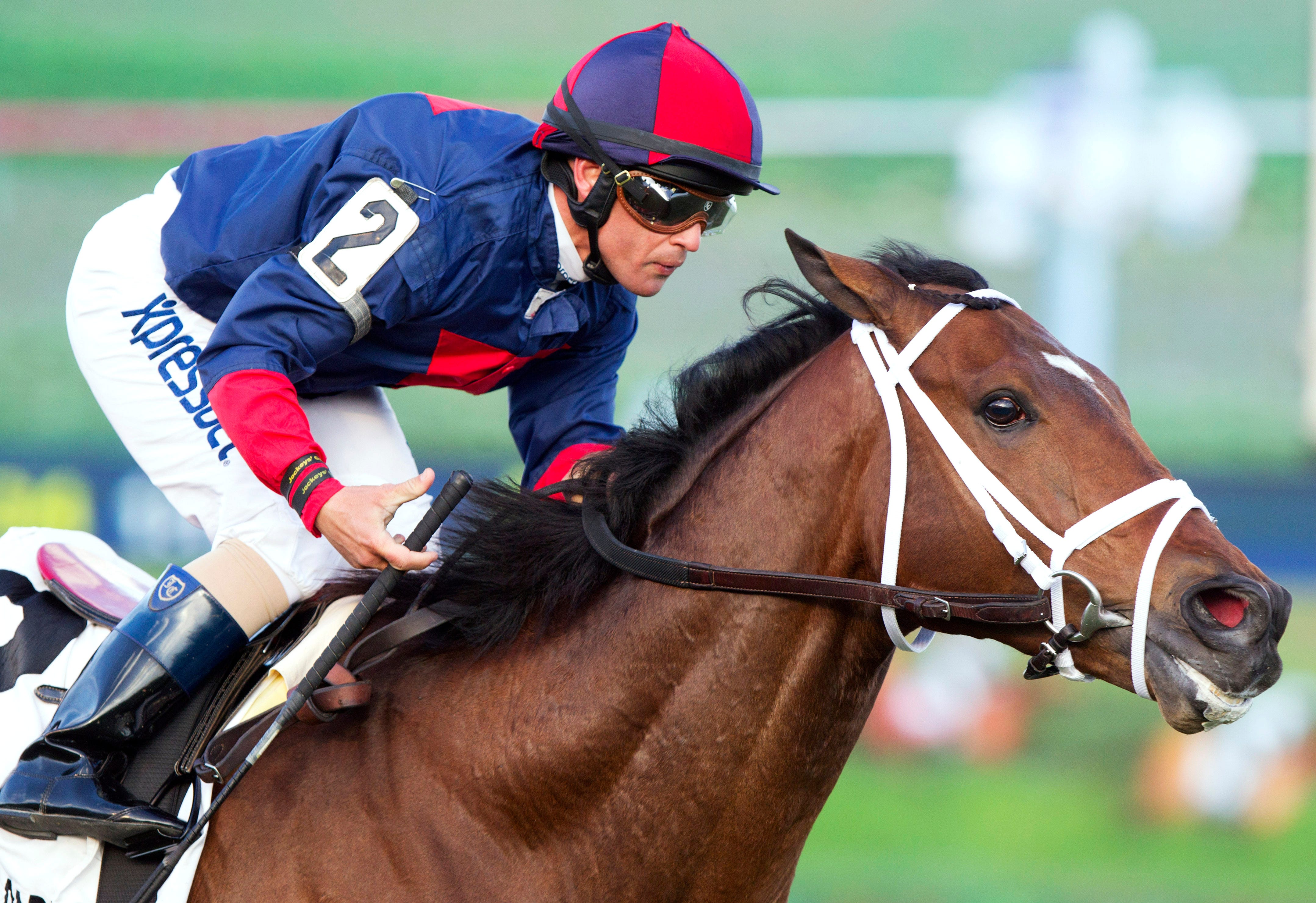 Unitarian a rare proven commodity at Gold Cup’s two-mile distance