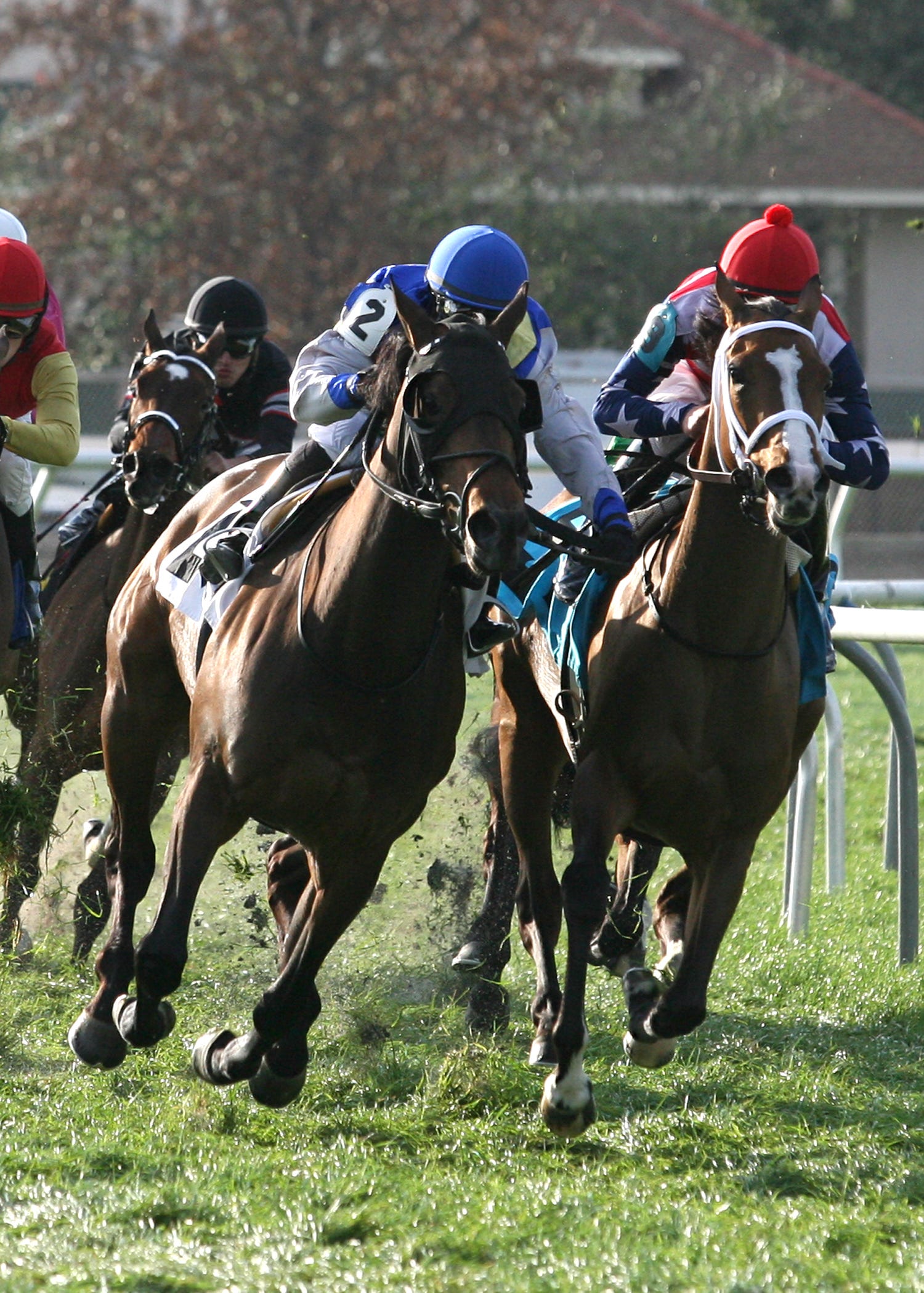Napravnik Wins Two More Stakes At Fair Grounds