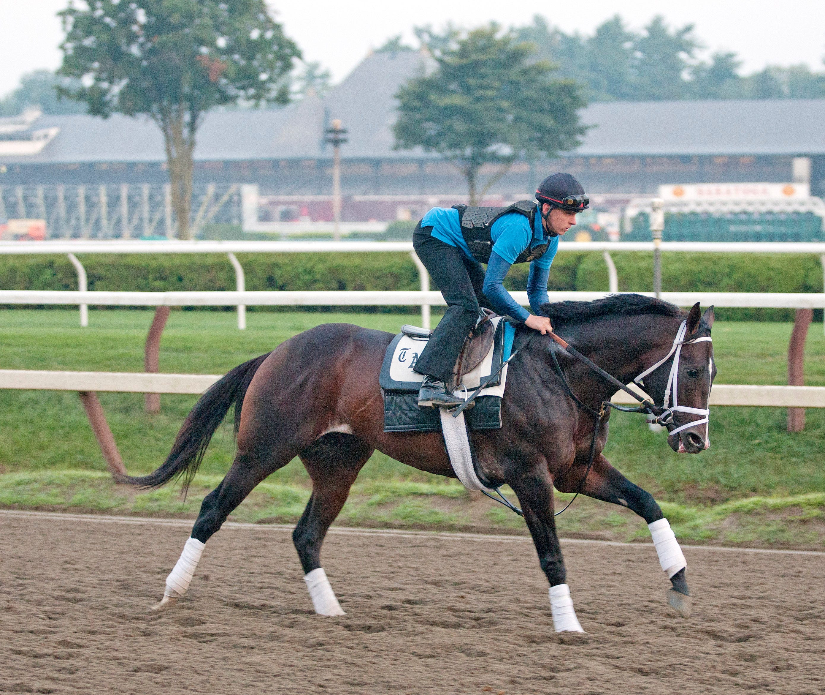 Travers Stakes: Verrazano can prove he's special