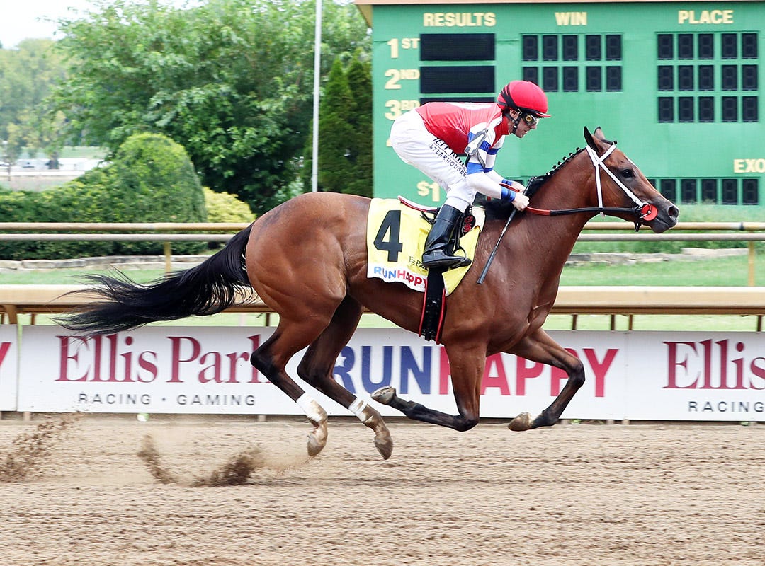 Verylittlecents can adjust as needed depending on Purple Martin pace