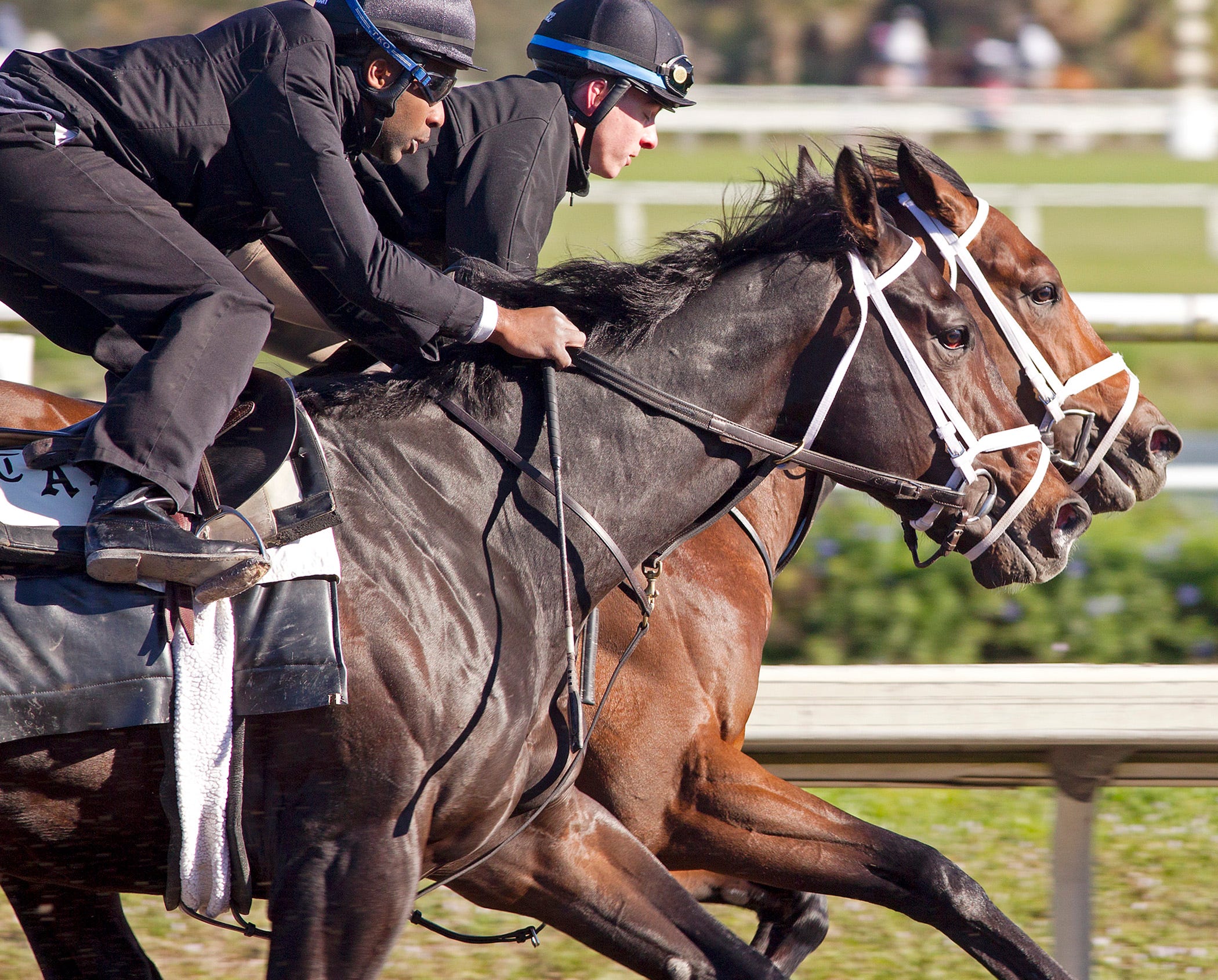 Gulfstream Park: Fountain of Youth favorite Violence turns in five ...