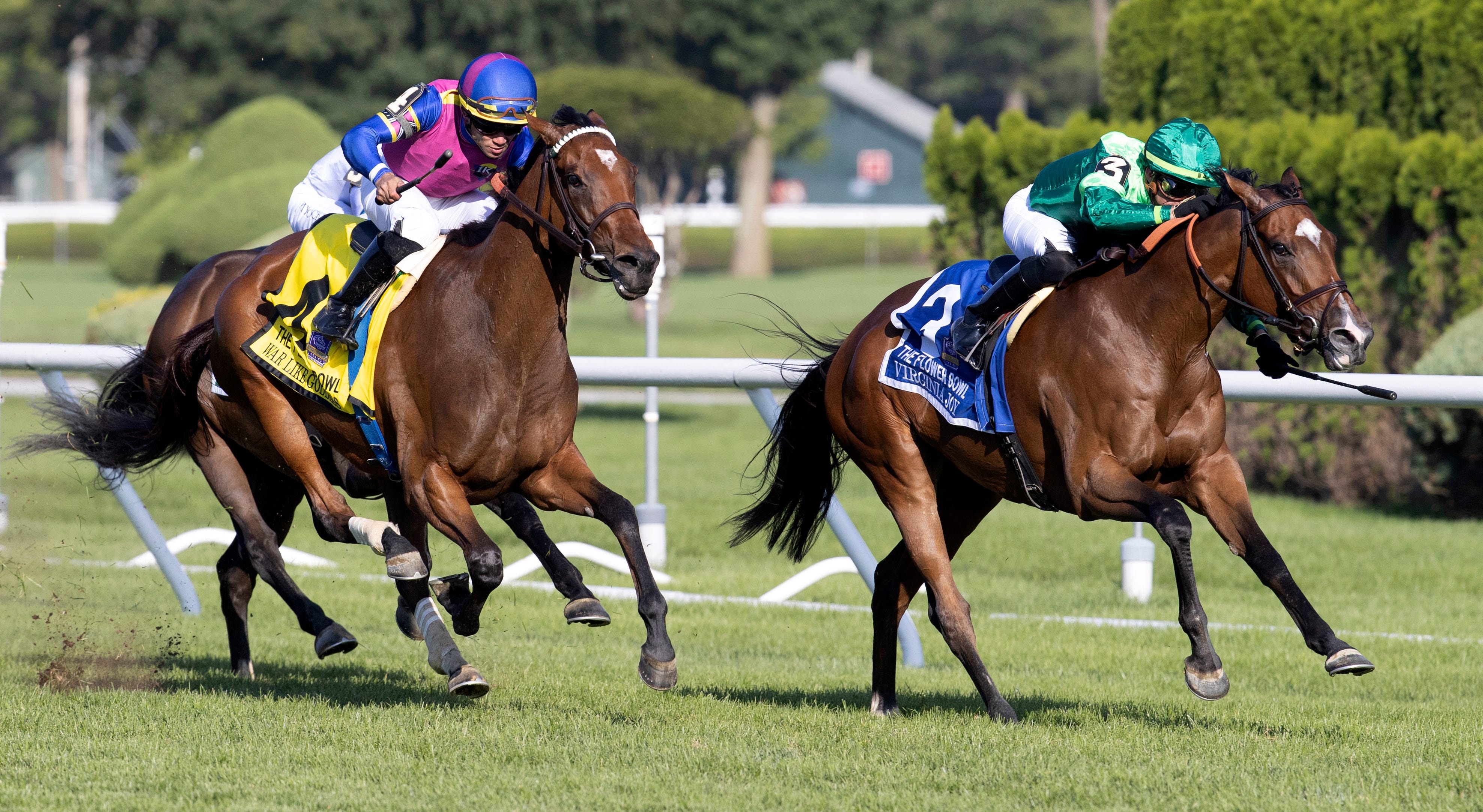Virginia Joy backs up Flower Bowl pace and lasts over compromised War ...