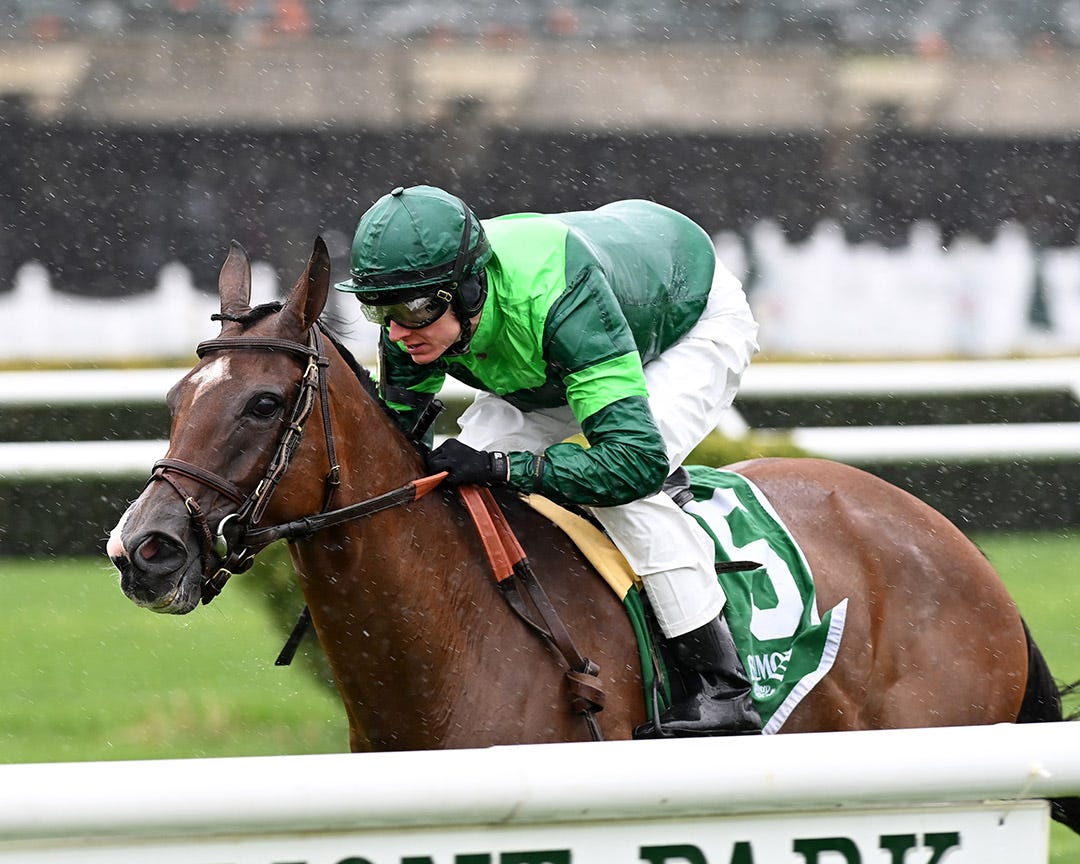 Virginia Joy makes $2.90 look like an overlay in Sheepshead Bay Stakes