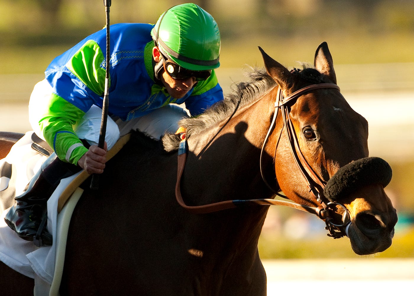 Vision in Gold, Grade 2 winner, dies of colic