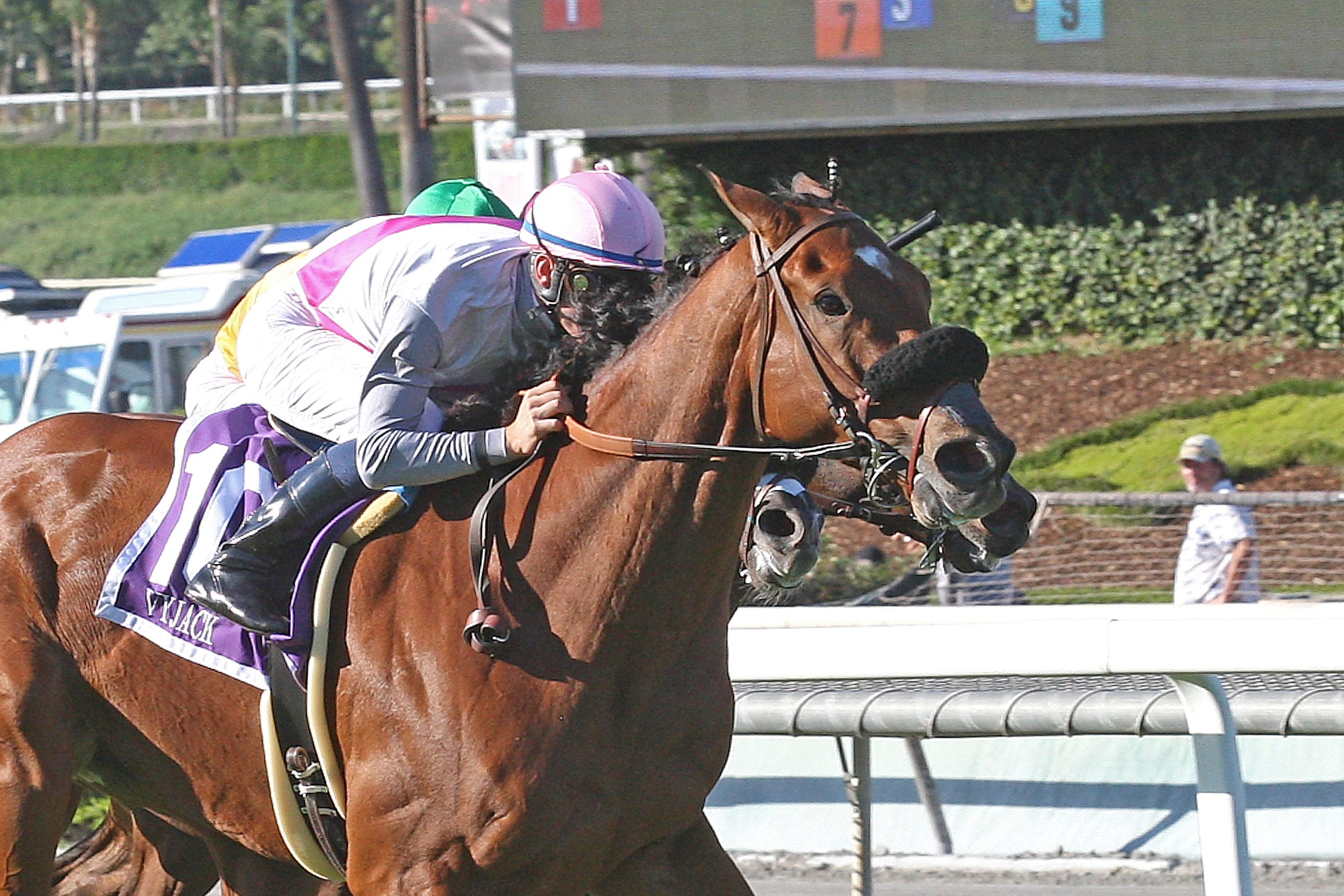 Vyjack launches season in Wickerr Stakes