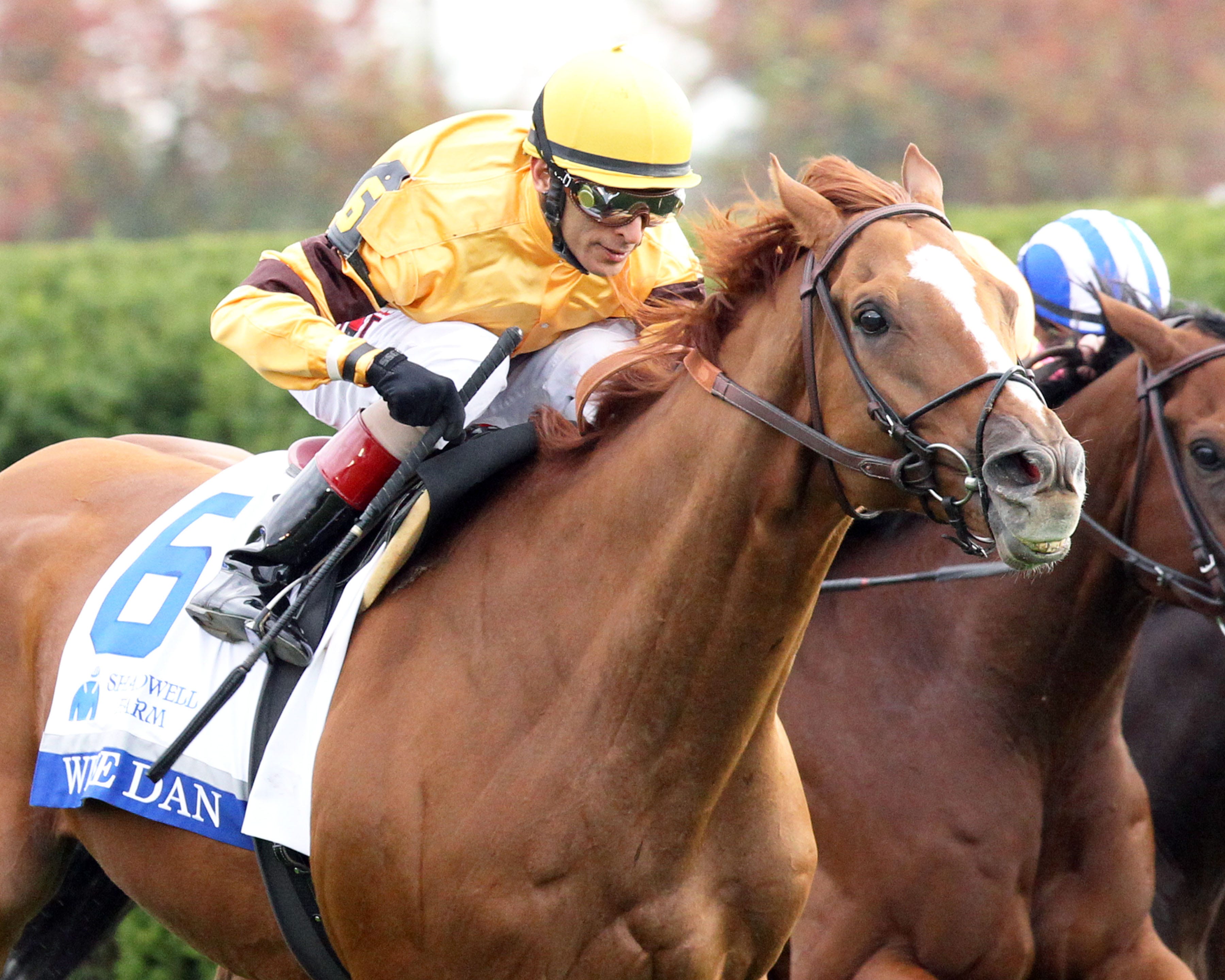 Slow start doesn't stop Wise Dan in Shadwell Mile