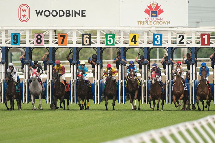 DRF's Horse Racing Playbook for Sunday, May 28, 2023