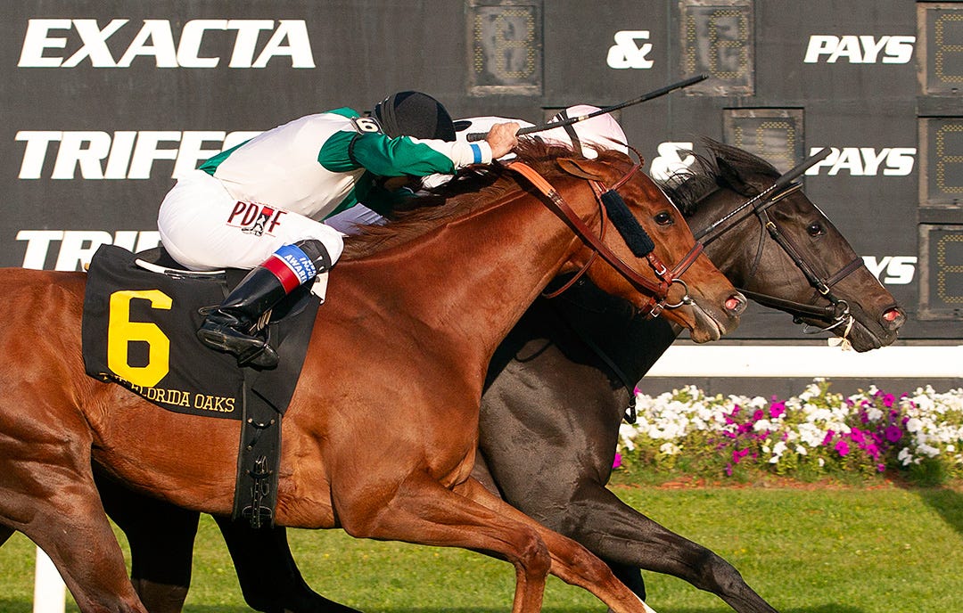 DRF's Horse Racing Playbook for Sunday, March 20, 2022