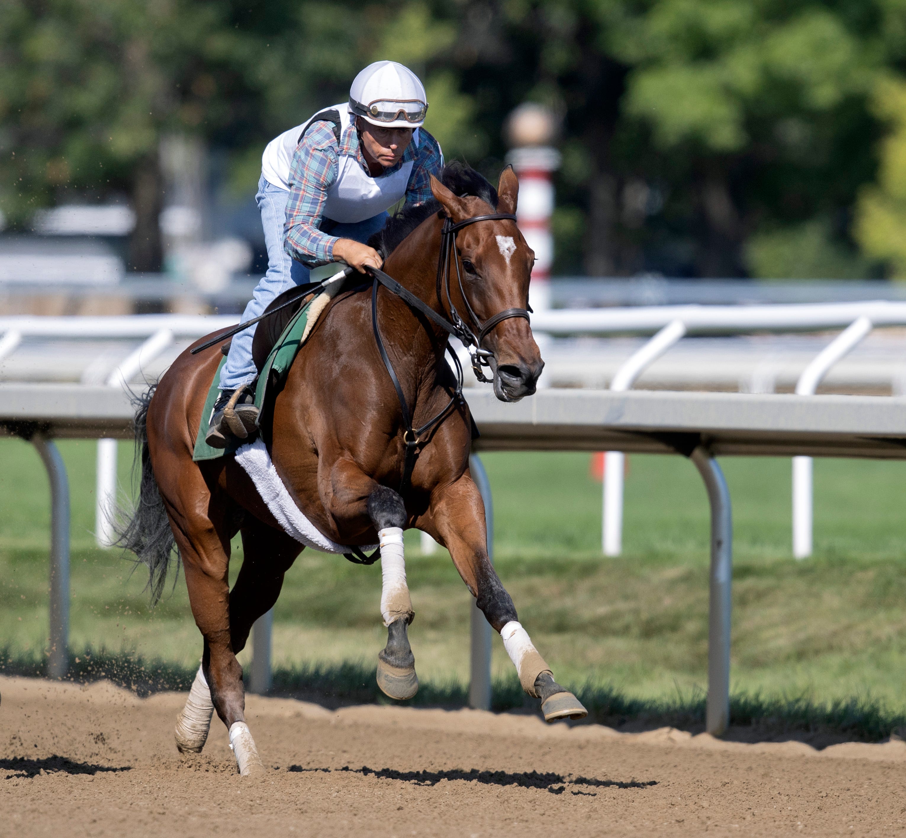 War Like Goddess takes on males for first time in Joe Hirsch Turf Classic