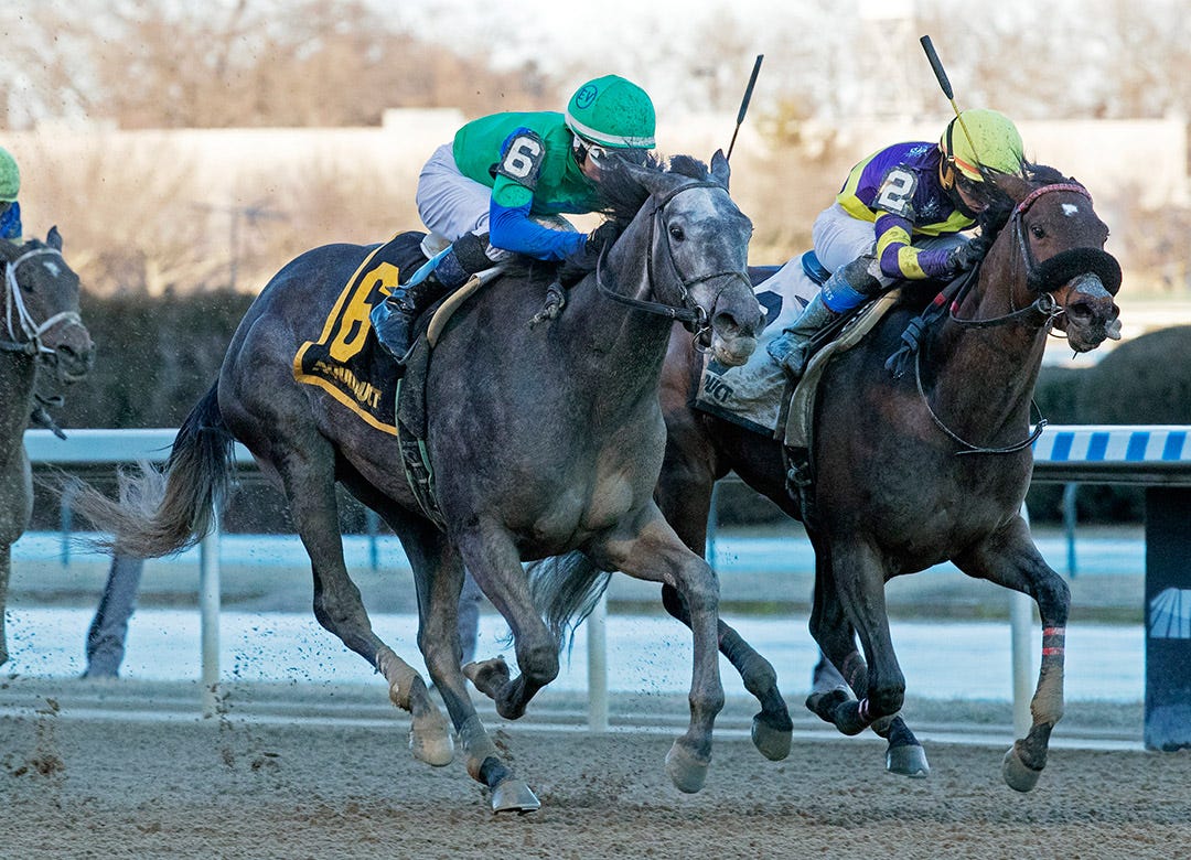 DRF's Horse Racing Playbook for Friday, February 18, 2022