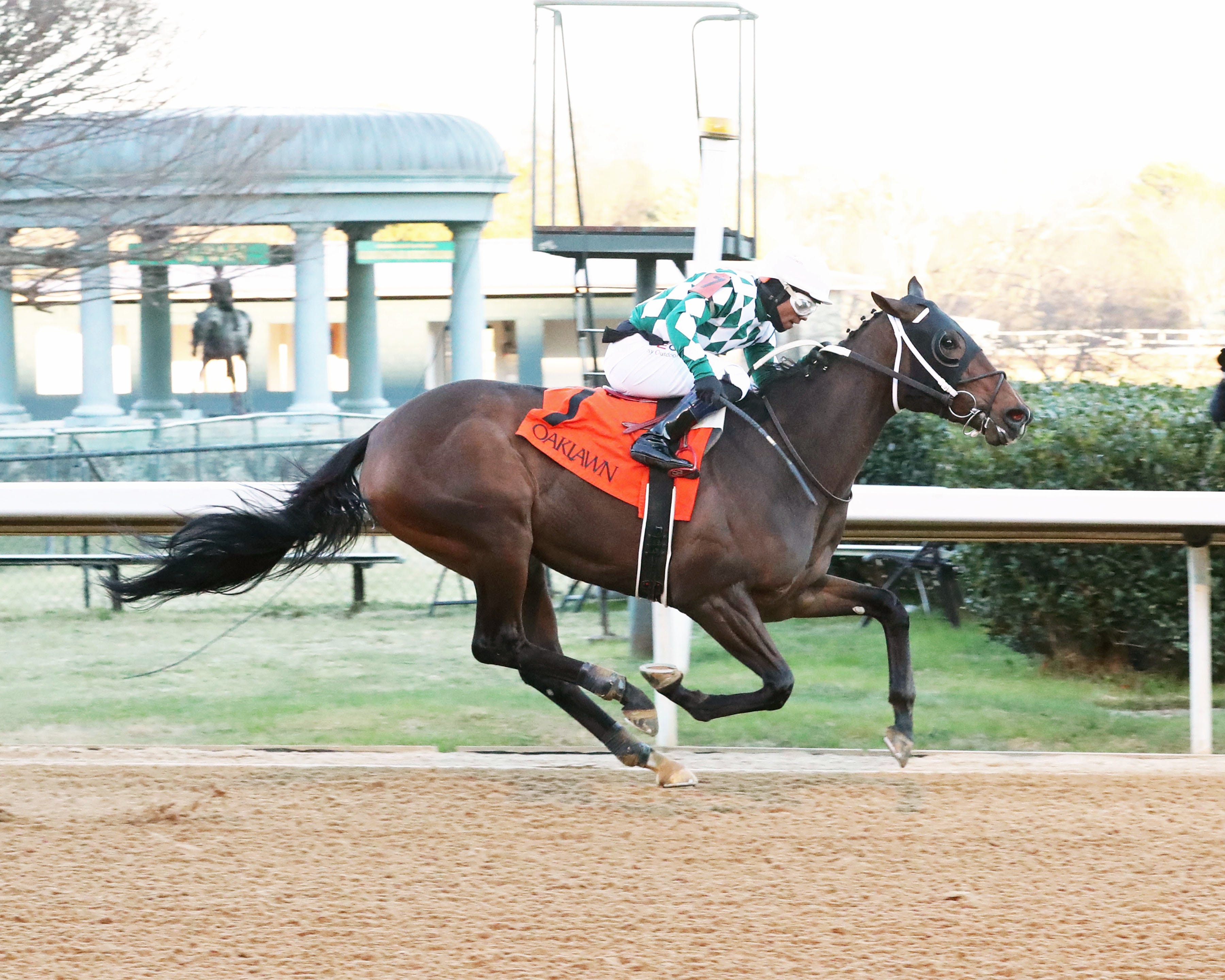 Sam Houston: Templar Red might get right setup; wagering available on ...