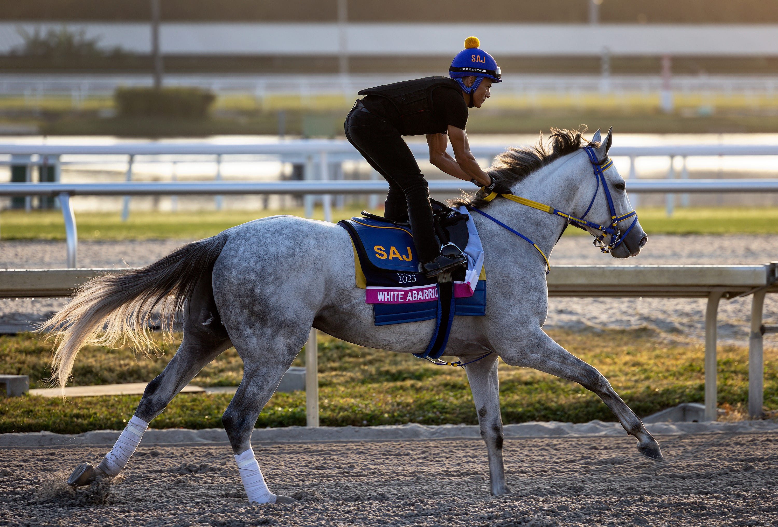 Late pick five play for Pegasus World Cup Day at Gulfstream Park