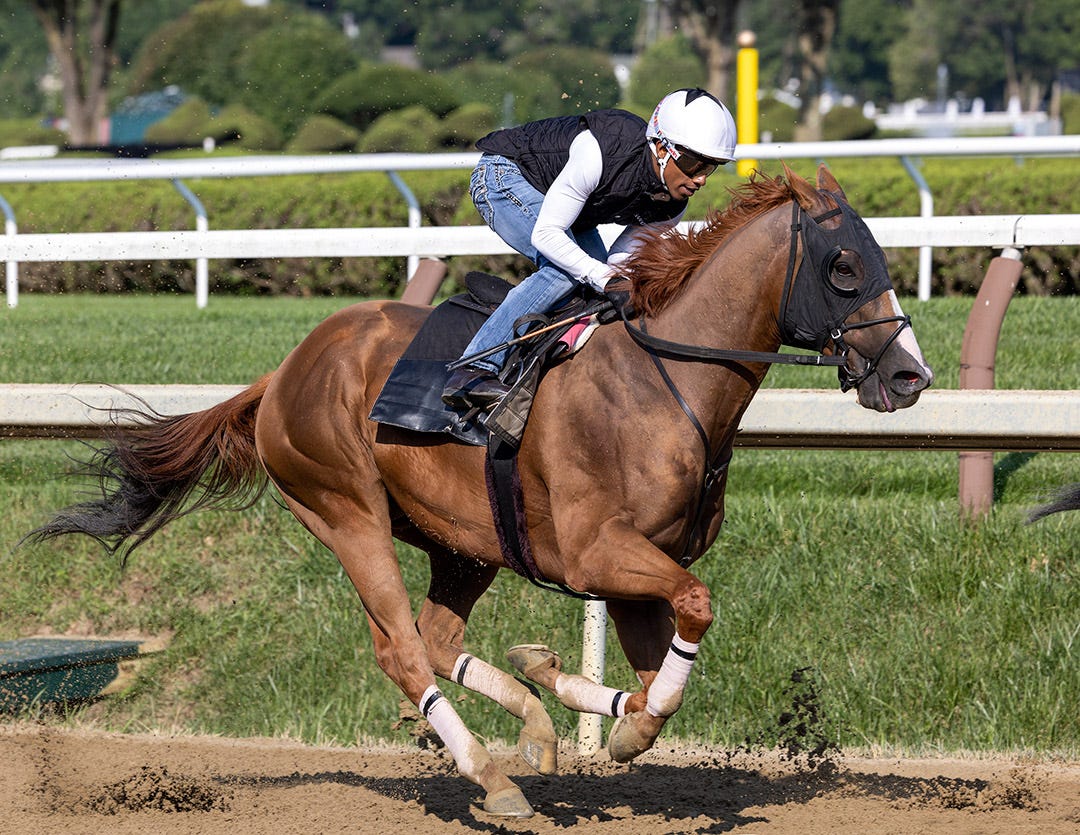 El Alfred G. Vanderbilt Stakes promete ser un interesante espectáculo