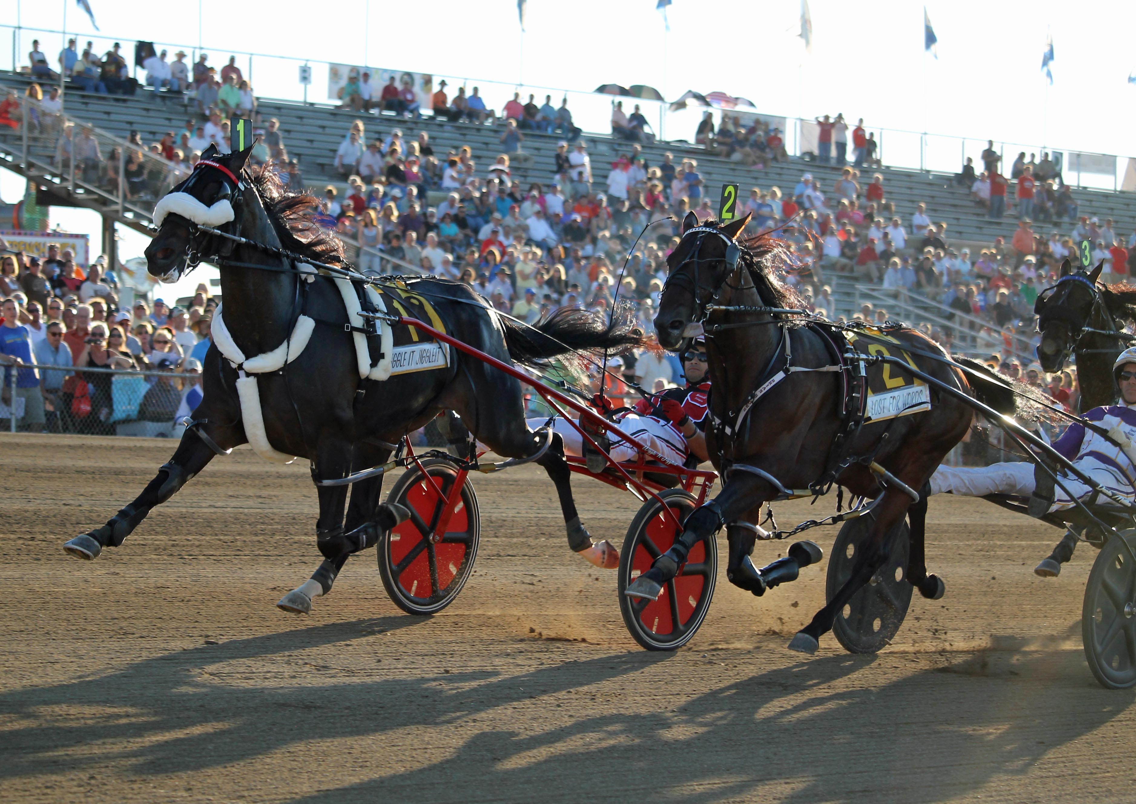 Bergman: Wiggle It Jiggleit is one of a kind