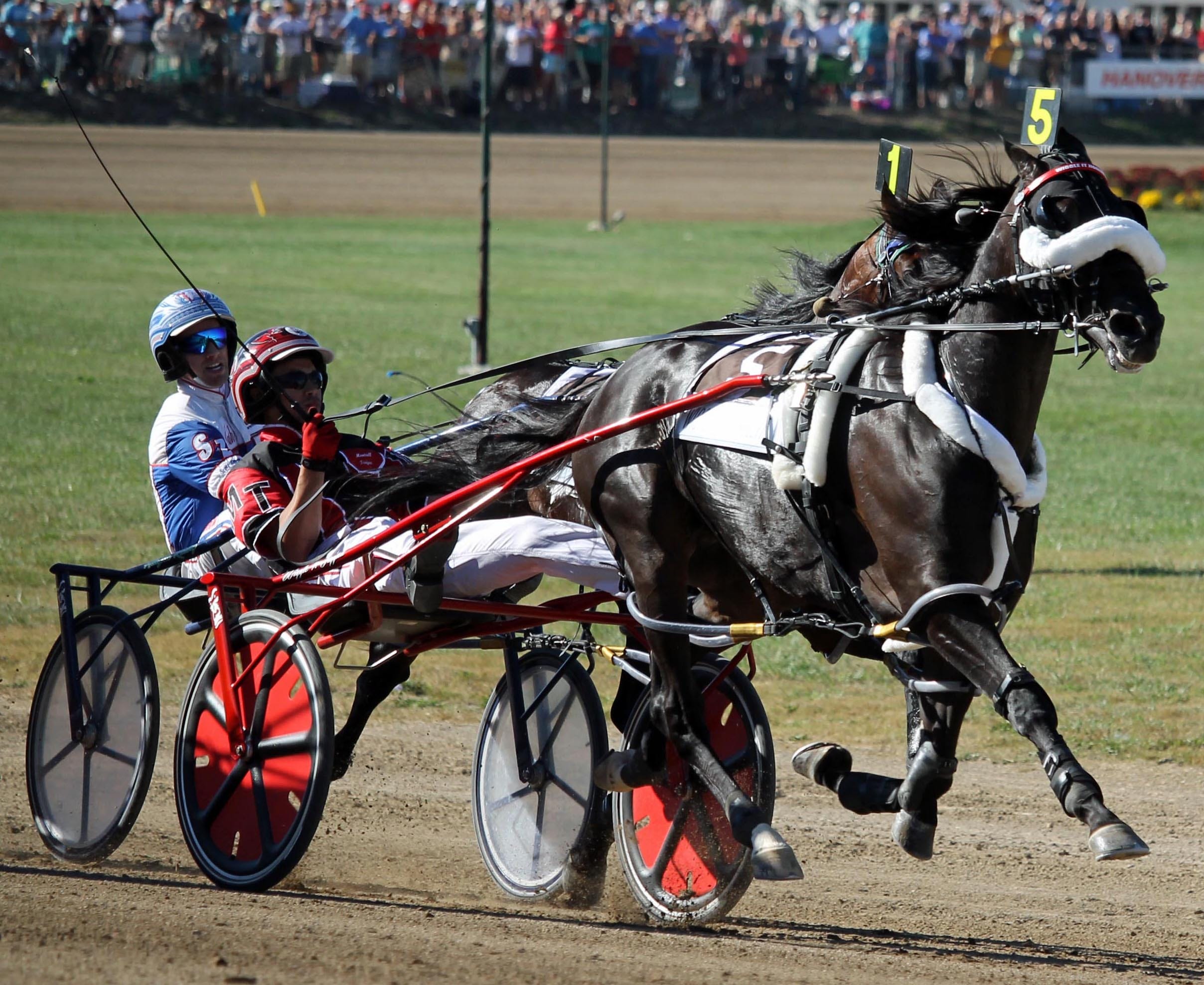 Bergman: Wiggle It Jiggleit ready to dance with the best older foes