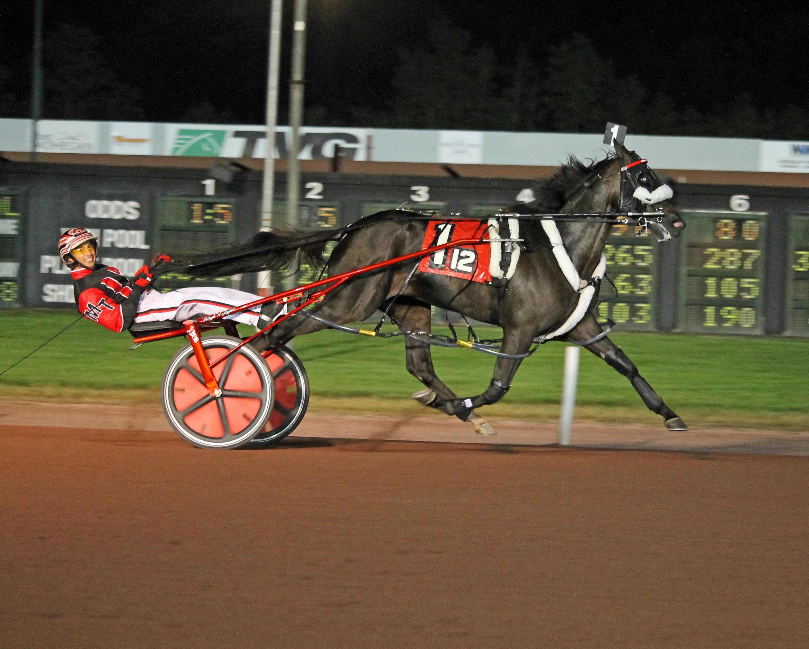 Delaware County Fair: Wiggle It Jiggleit leads 15 Little Brown Jug hopefuls