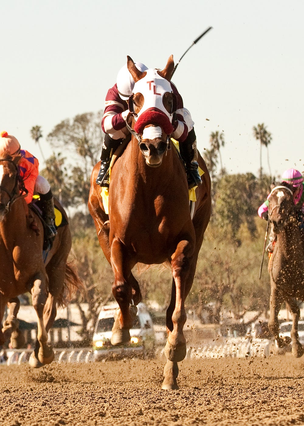 Santa Anita: Willa B Awesome pulls off upset in Santa Ysabel